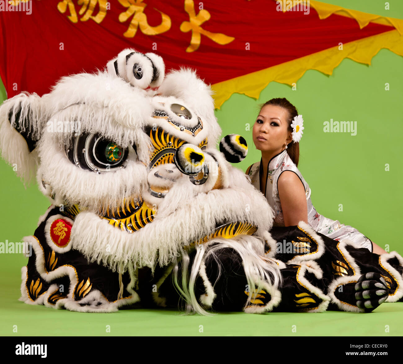 Chinese woman with dancing lion Stock Photo - Alamy