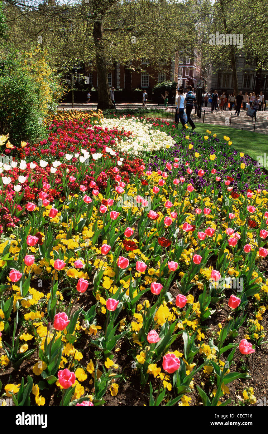 England, London, St James Park, Spring Flowers Stock Photo - Alamy