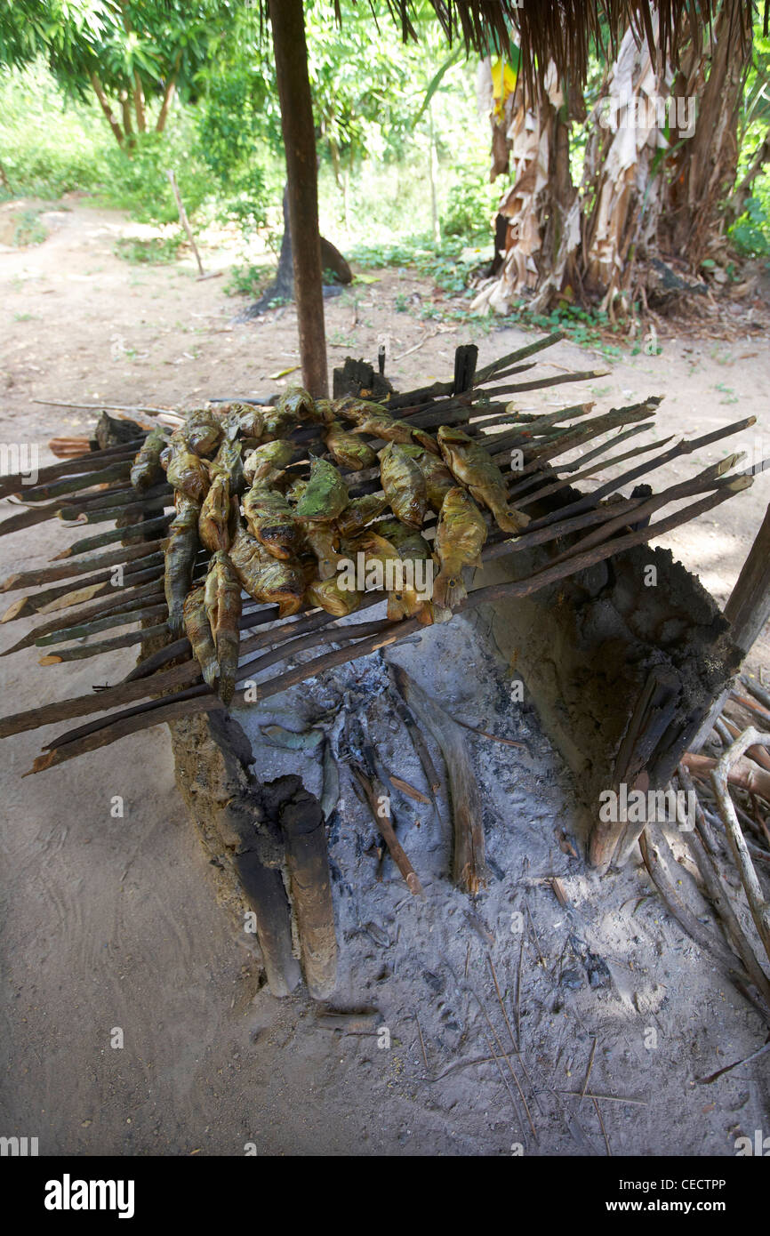 Fresh fish, including Peacock Bass, smoking and drying on a open fire ...