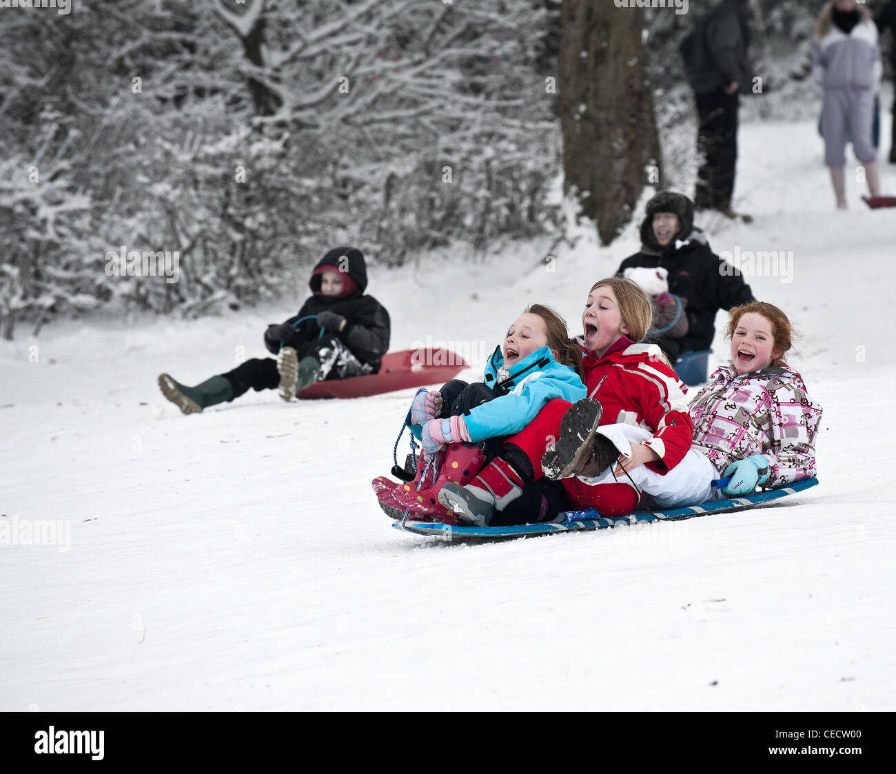 Three young girls sledding Stock Photo - Alamy