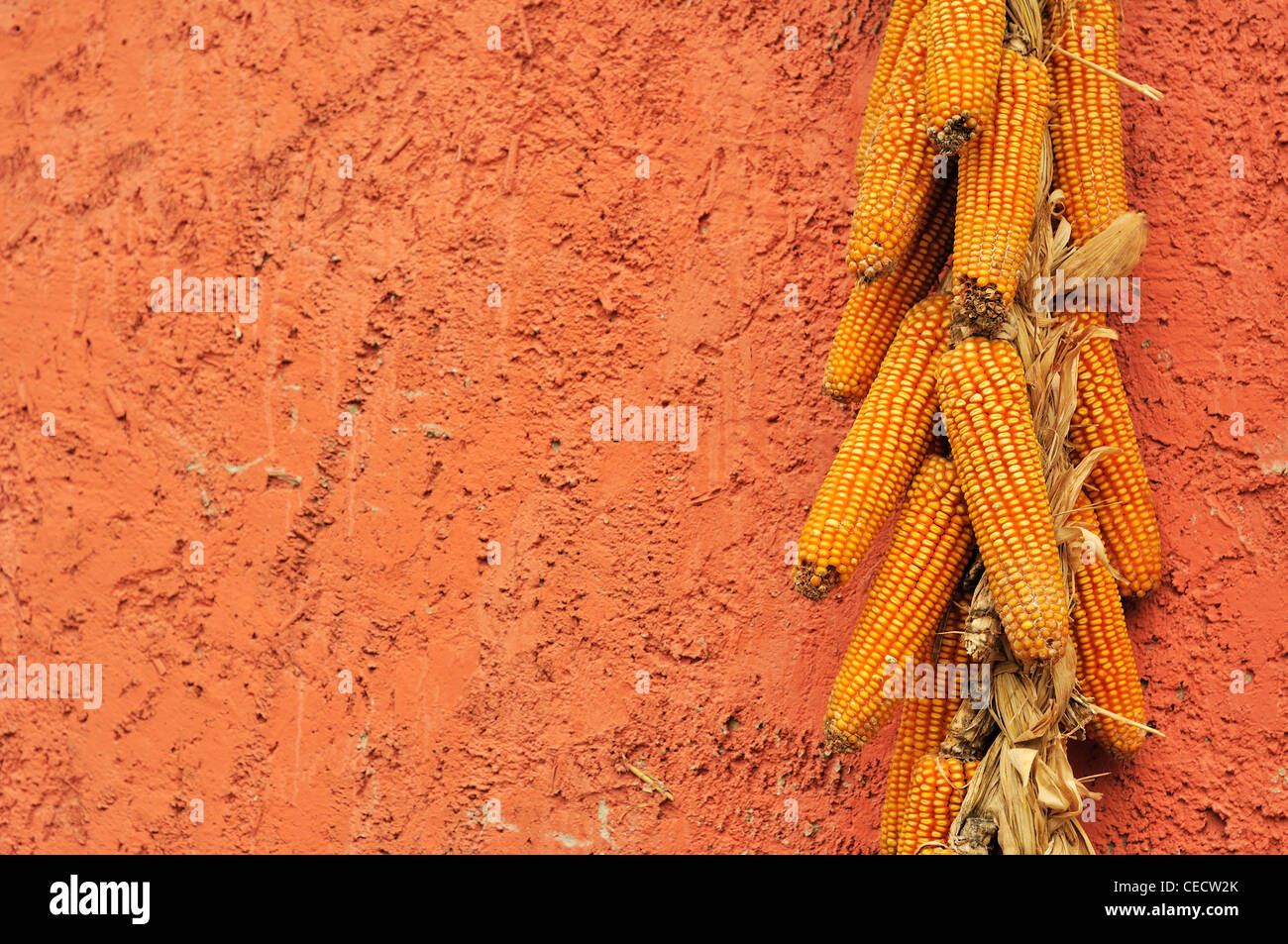 corn crop hanging on the wall in china Stock Photo - Alamy