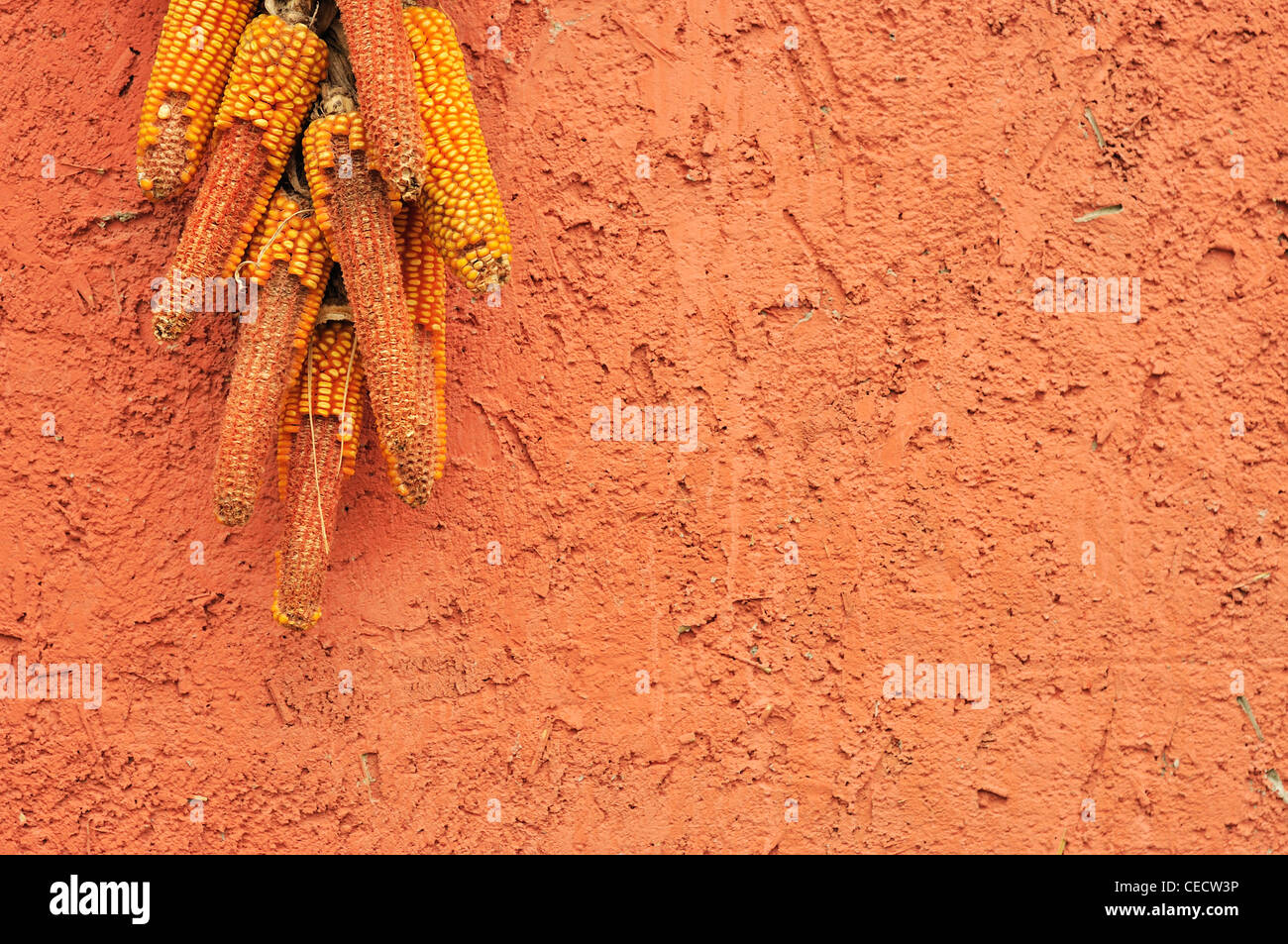 China autumn hanging corn hi-res stock photography and images - Alamy