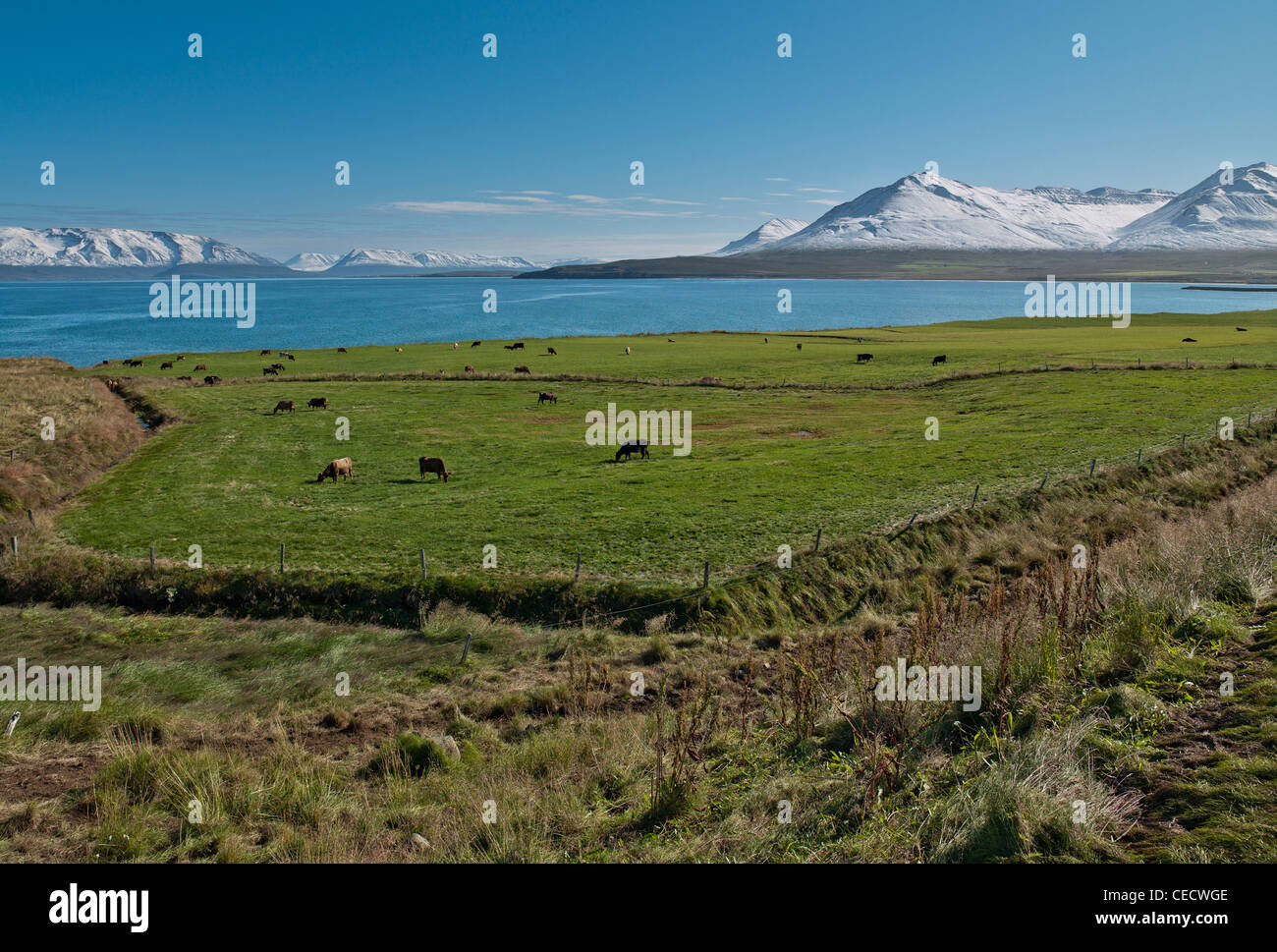 Dalvik iceland hi-res stock photography and images - Alamy
