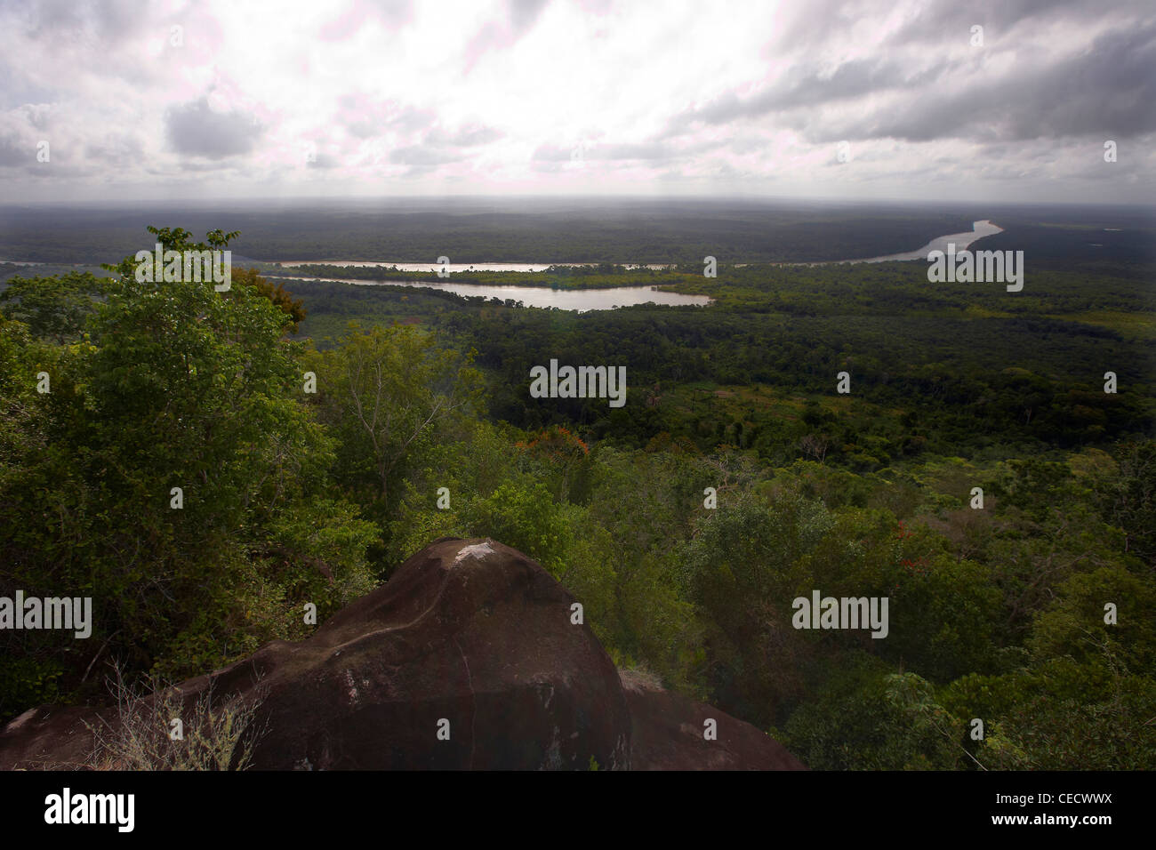 Rupununi river flowing through the primary tropical rainforest, part of ...