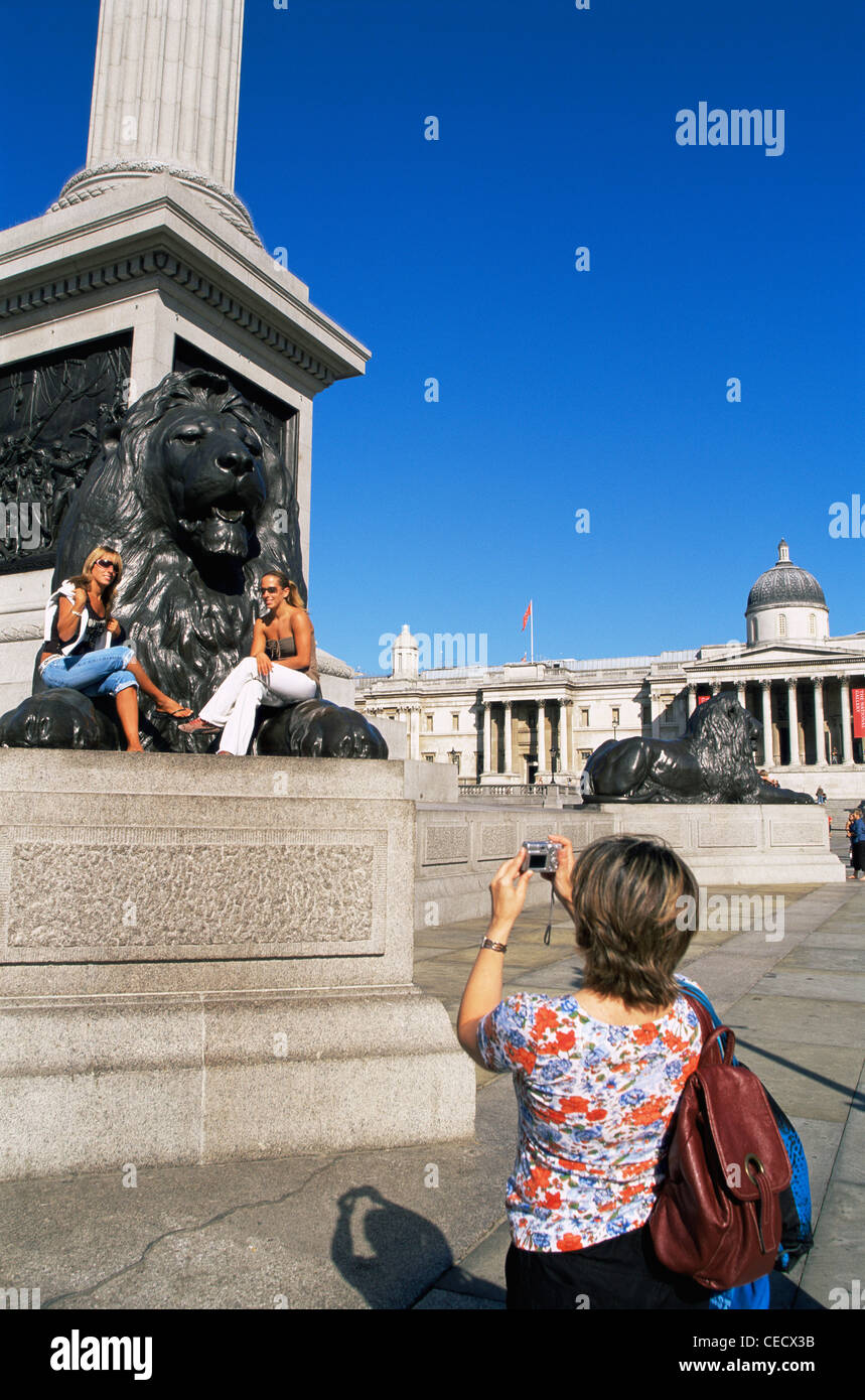 Tourists taking photos lion hi-res stock photography and images - Alamy