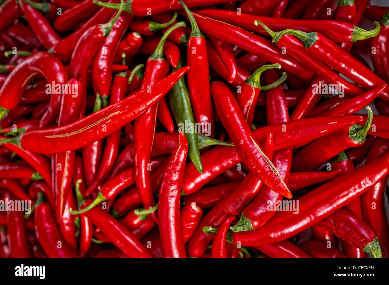 One green chili pepper amongst a sea of red chilli's at a Spanish ...