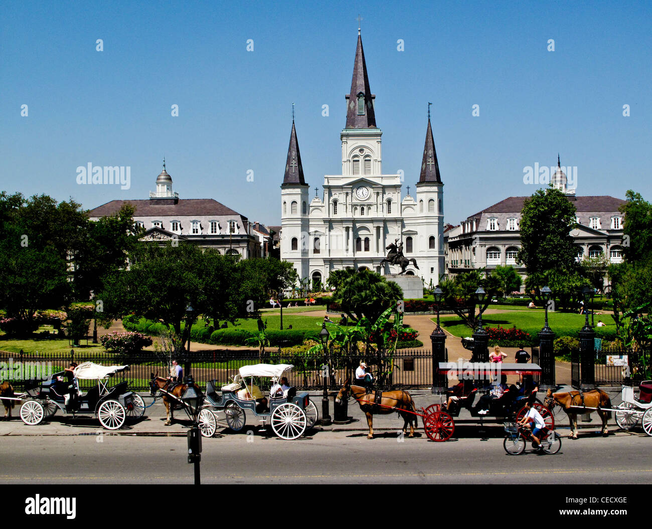 New orleans jackson square carriage hi-res stock photography and images ...