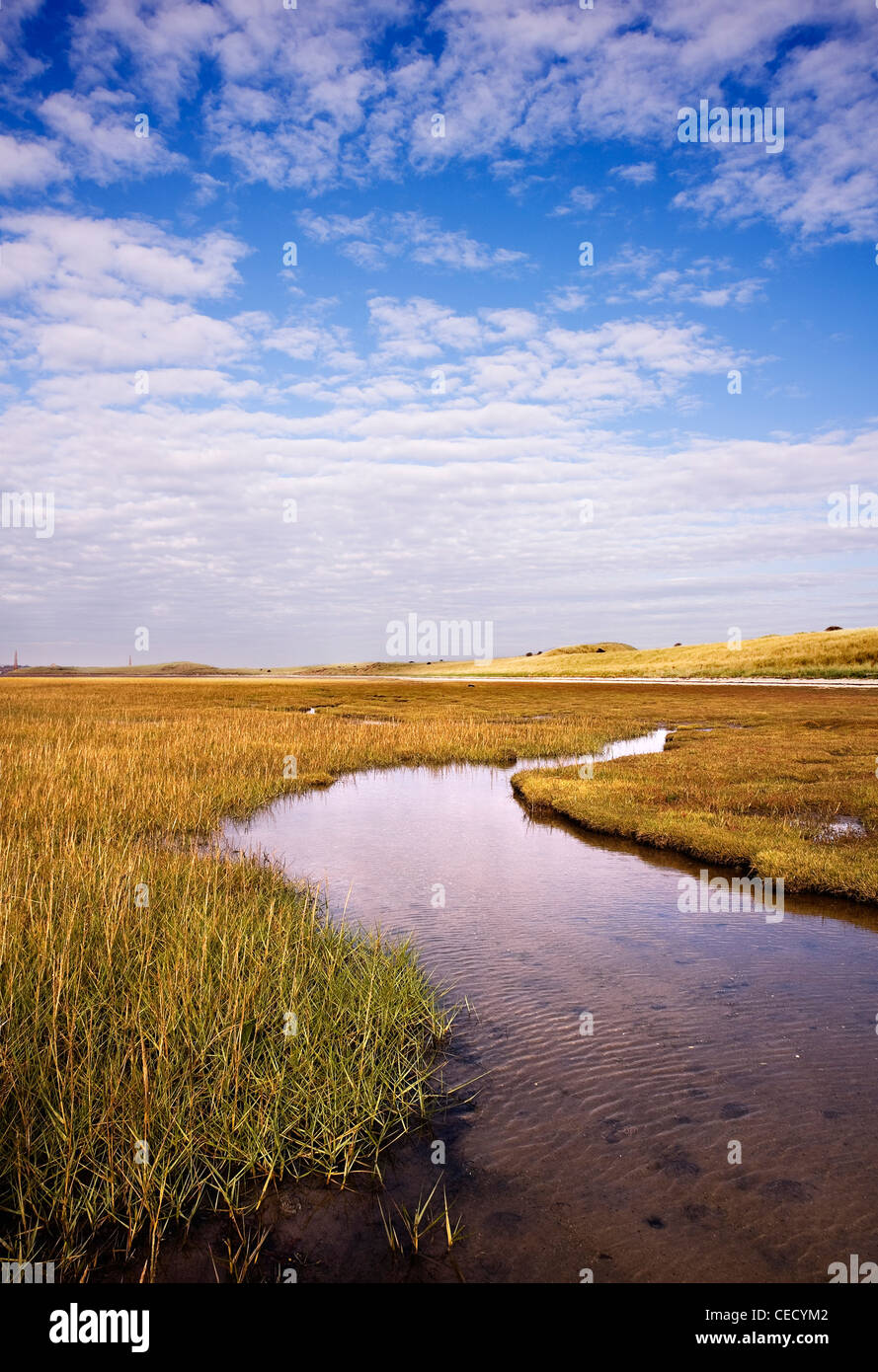 The salt marshes behind Ross Point near Holy Isle Stock Photo - Alamy