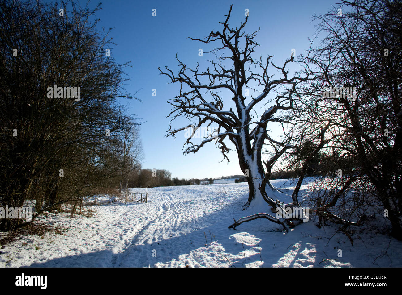 mid winter bleakness Stock Photo - Alamy