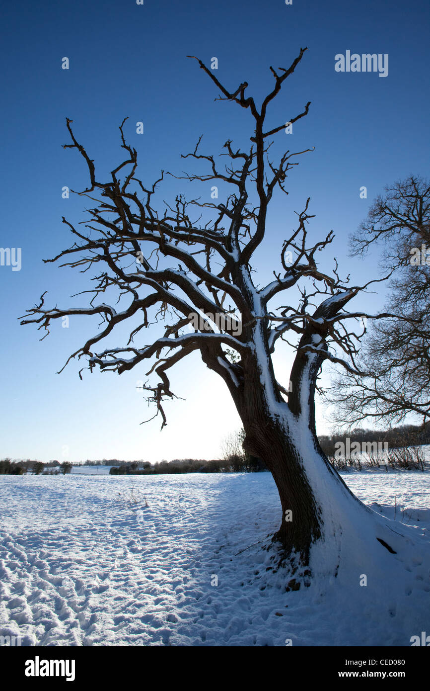 Bleak mid winter Stock Photo - Alamy
