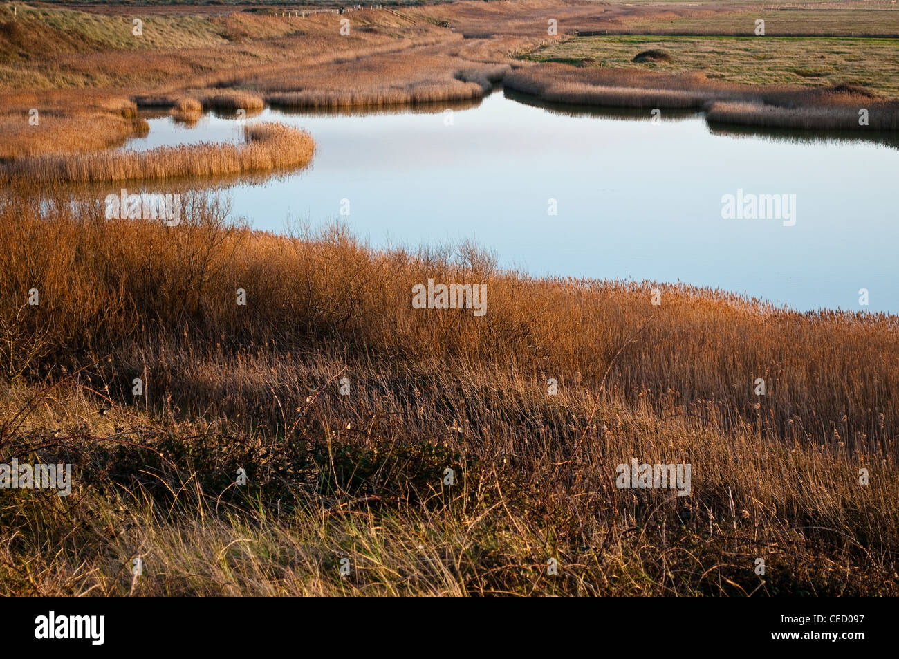Salt marsh near Hunstanton, Norfolk, England, UK Stock Photo - Alamy