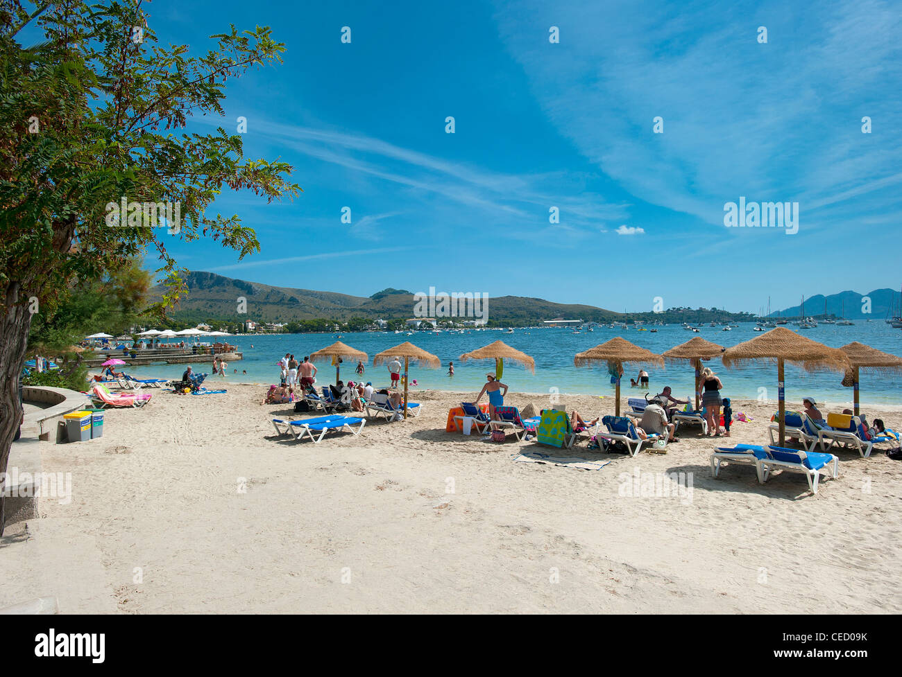 Beach Port Pollenca Mallorca Balearics Spain Stock Photo - Alamy