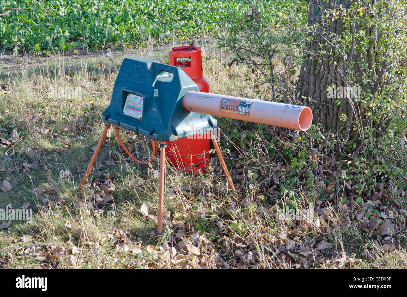 Gas powered bird scarer Stock Photo - Alamy
