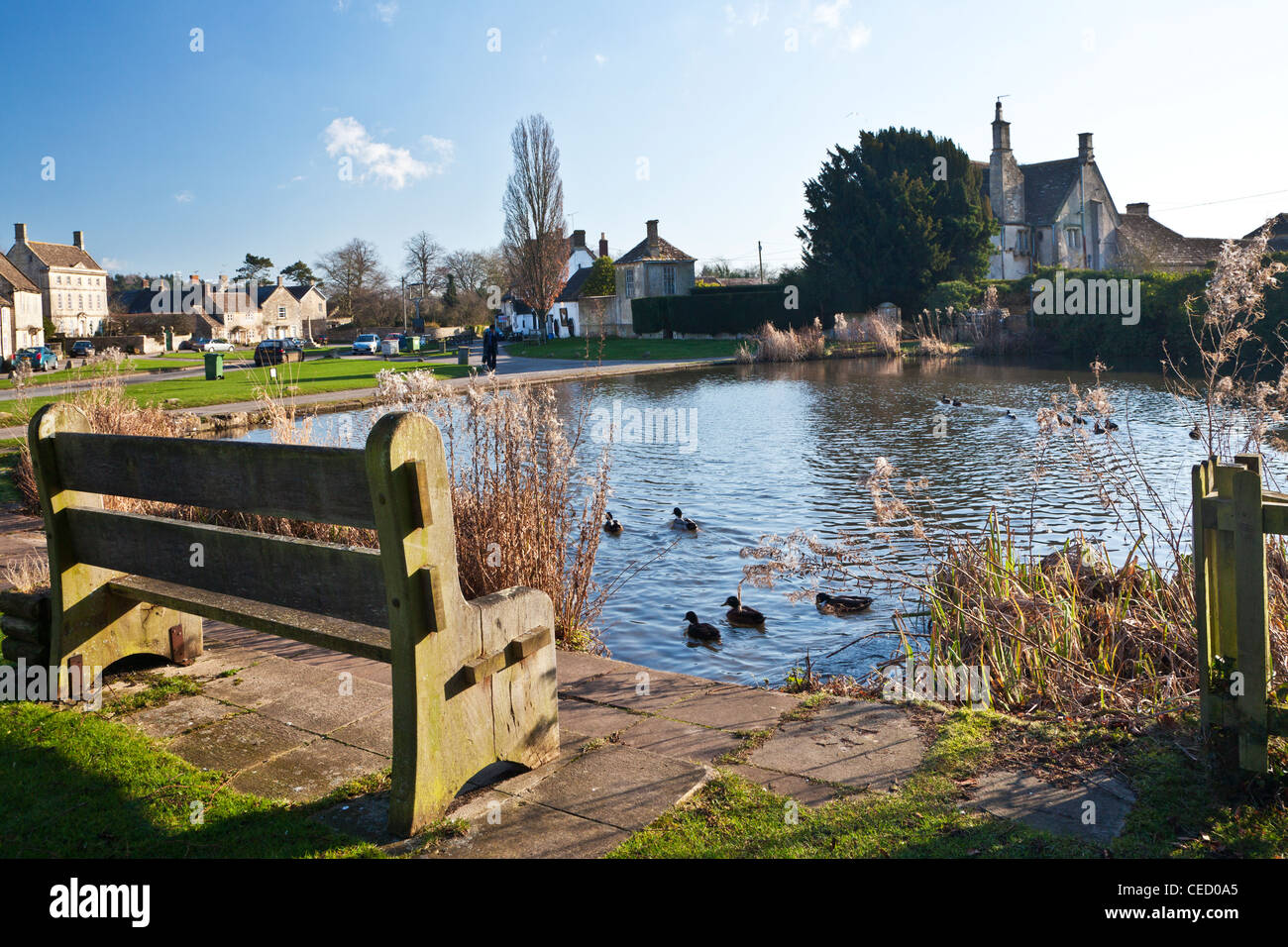 A typical English village duck pond on the green in Biddestone ...