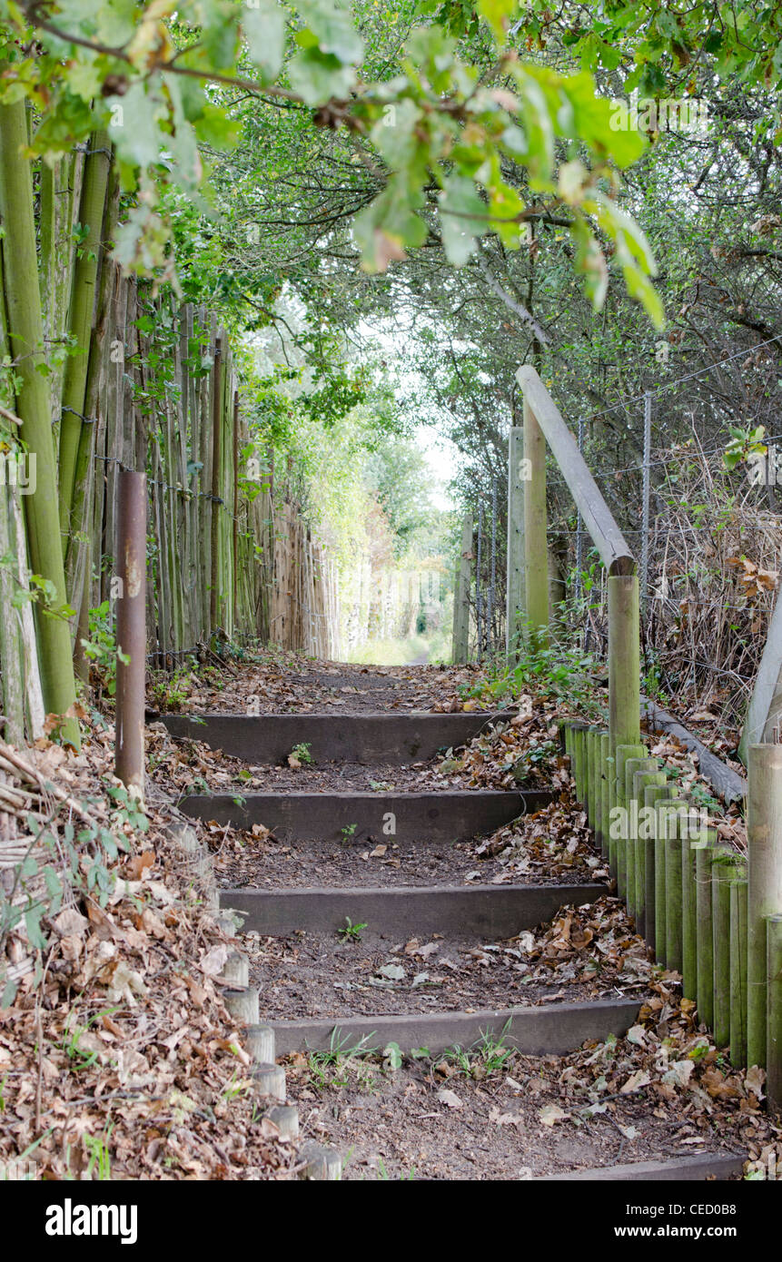 Basic steps leading to a footpath in an English village Stock Photo - Alamy