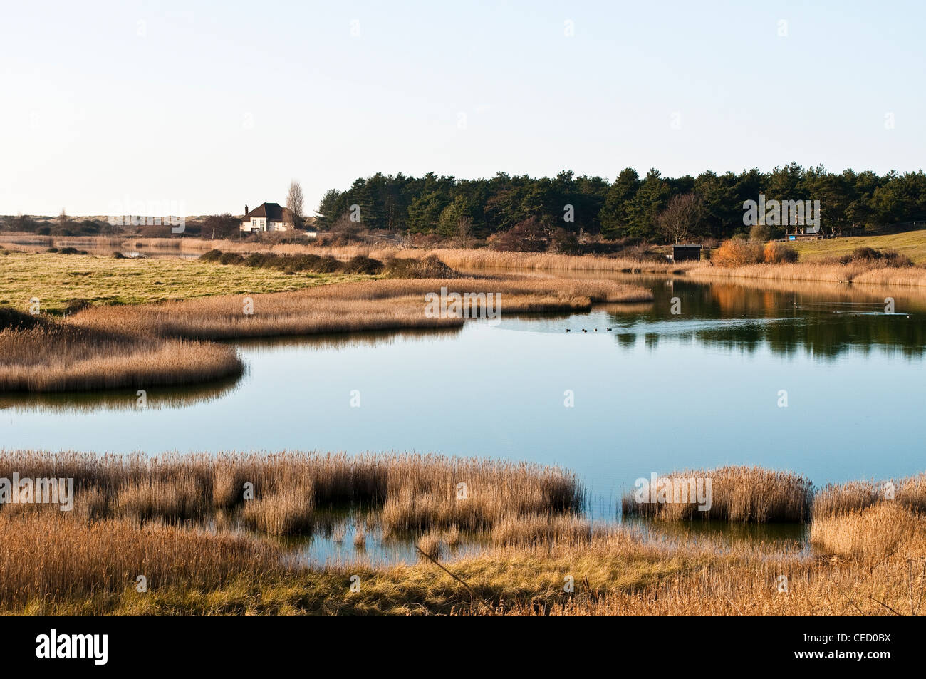 Salt marsh landscape norfolk hi-res stock photography and images - Alamy