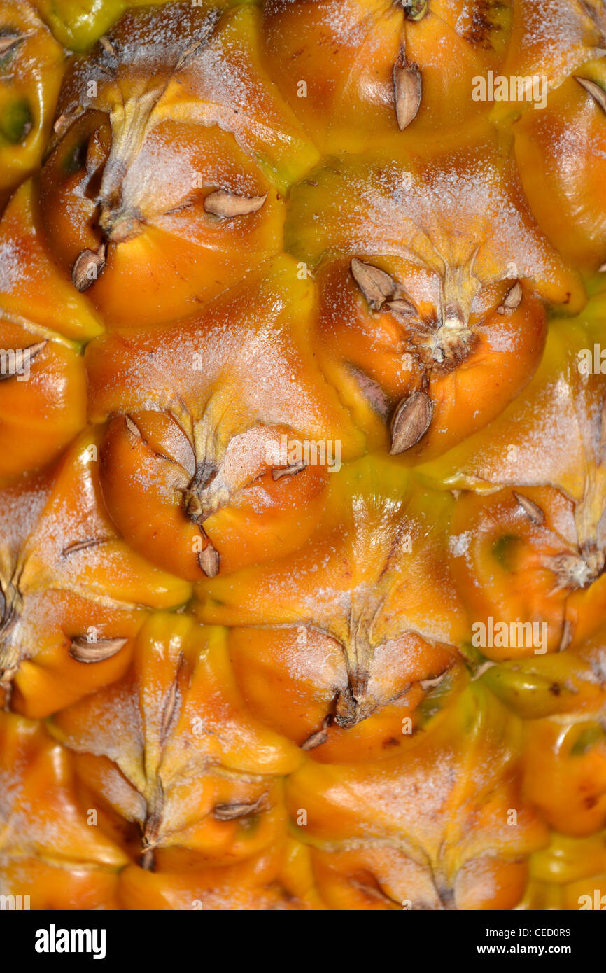 Close up pineapple skin hi-res stock photography and images - Alamy