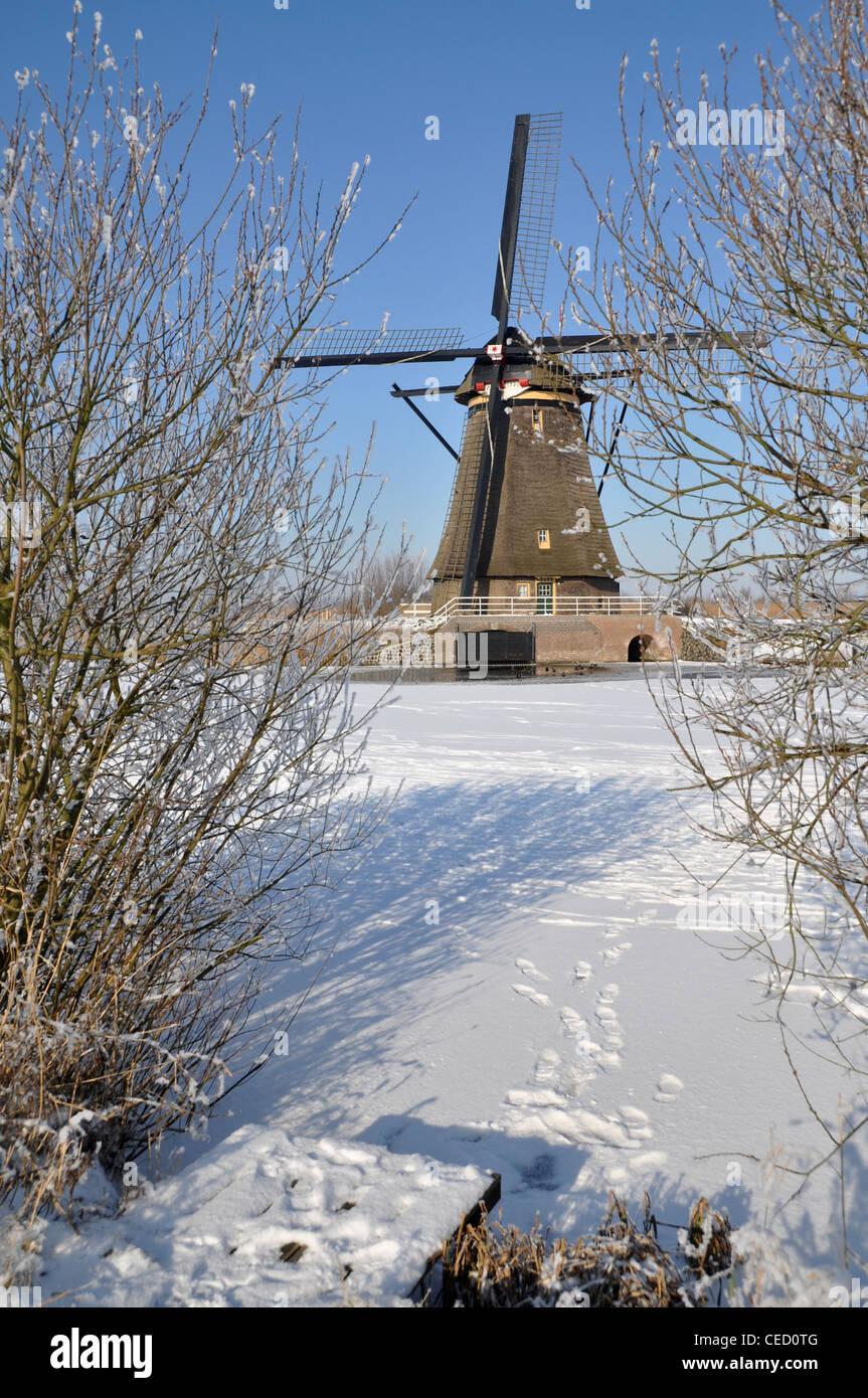Dutch windmill in winter, Kinderdijk, Holland, Netherlands, Europe ...