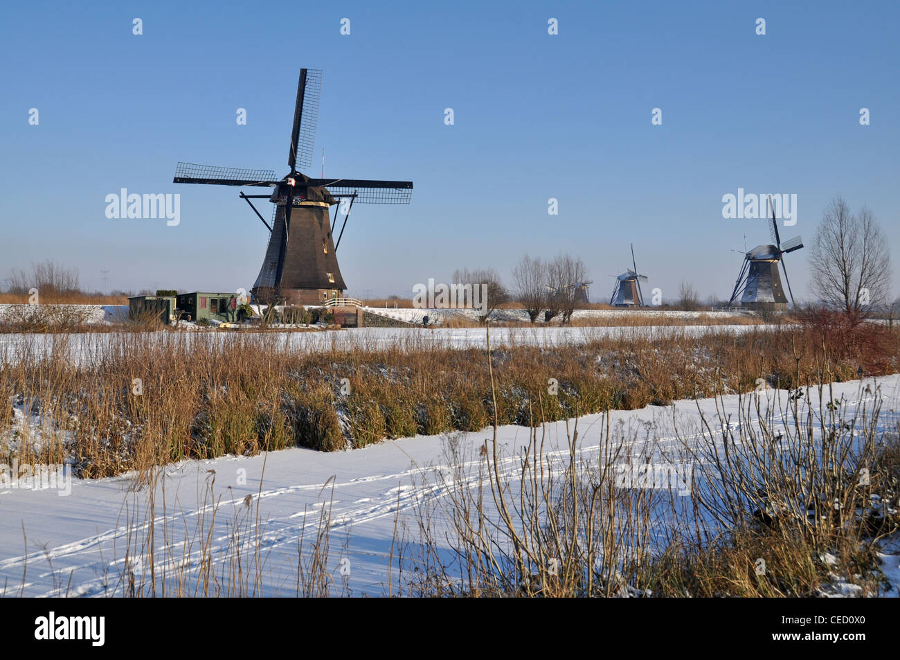 Dutch windmills in winter, Kinderdijk, Netherlands, Europe Stock Photo ...
