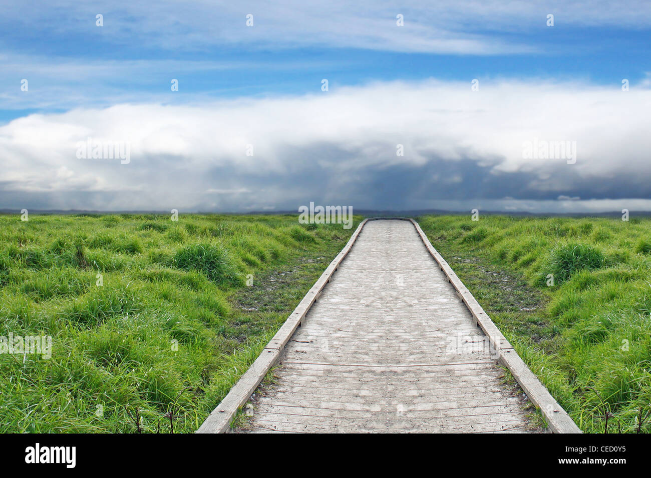 Path towards the end hi-res stock photography and images - Alamy