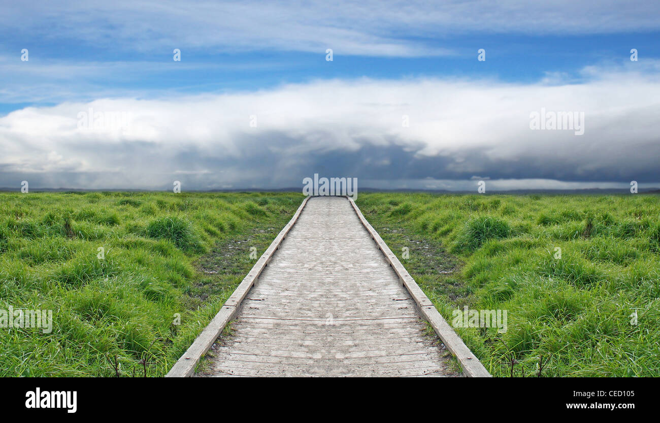 A wooden path through green towards the sky Stock Photo - Alamy