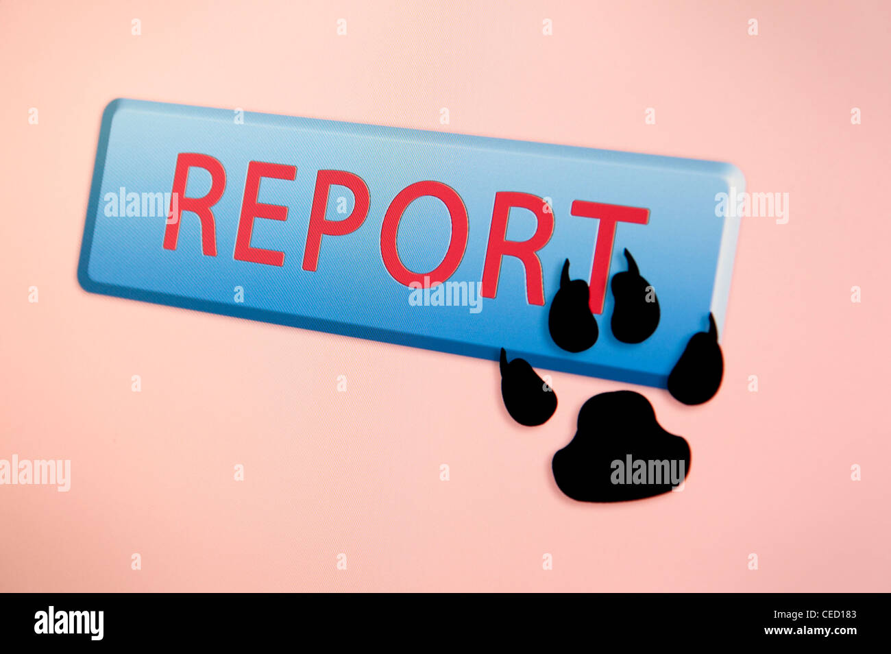 Paw print cursor hovers over a REPORT button Stock Photo - Alamy