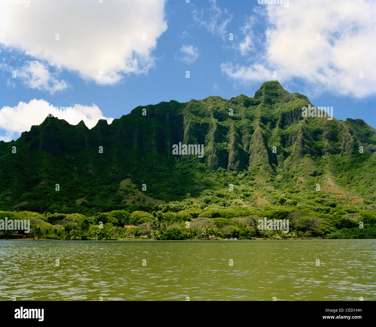 Ridged crest in the Ko'olau Mountains Oahu Hawaii Stock Photo - Alamy