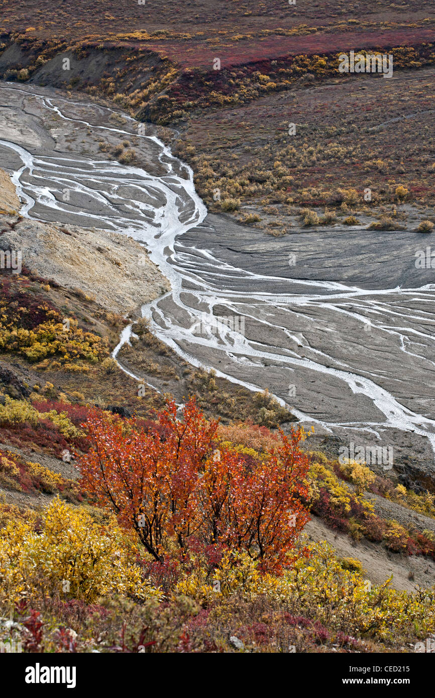 Toklat river hi-res stock photography and images - Alamy