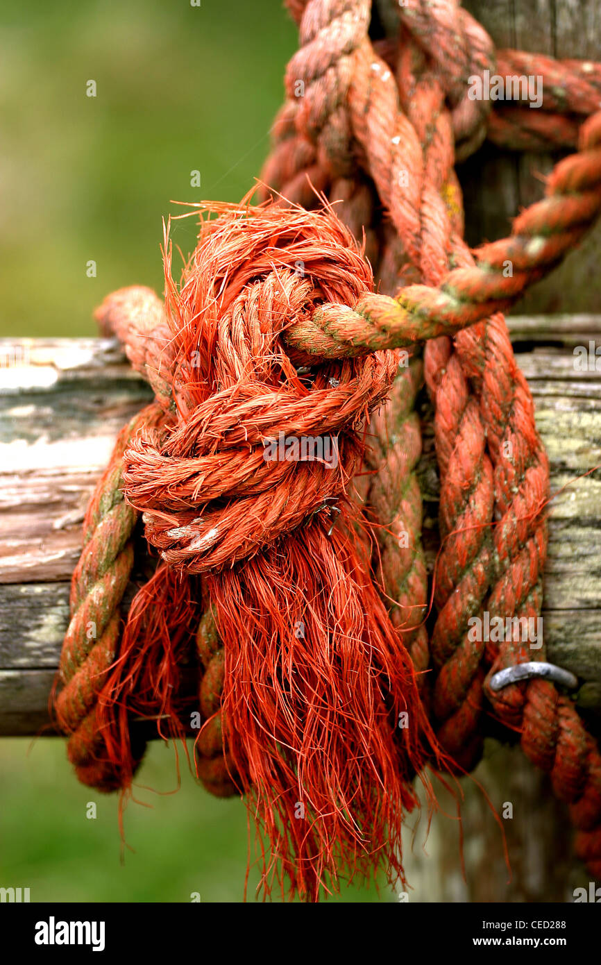 old rope tied round old timbers Stock Photo - Alamy