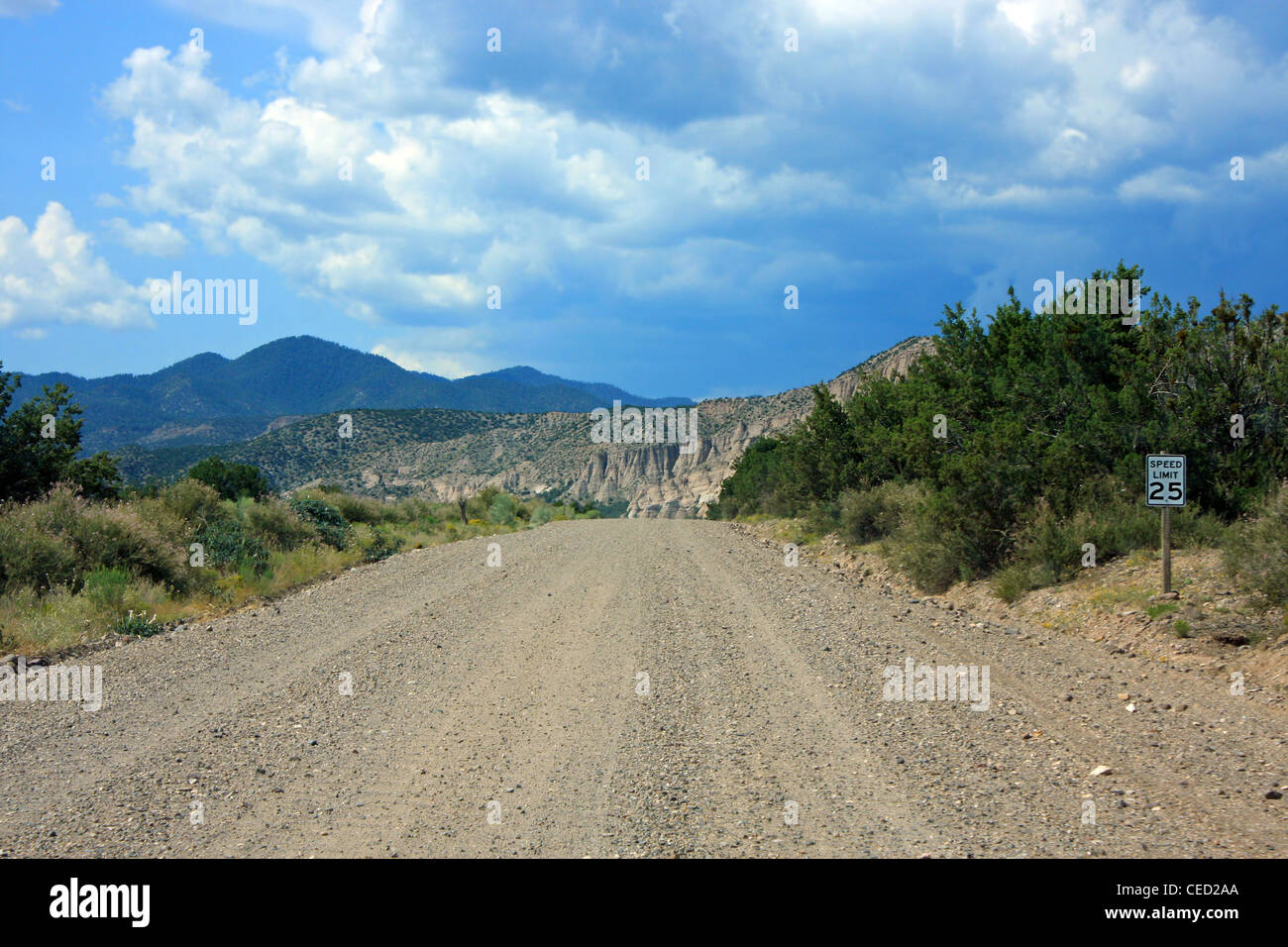A very rough road into nature Stock Photo - Alamy