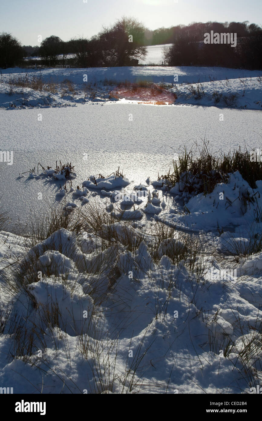 Frozen pond and snow Stock Photo - Alamy