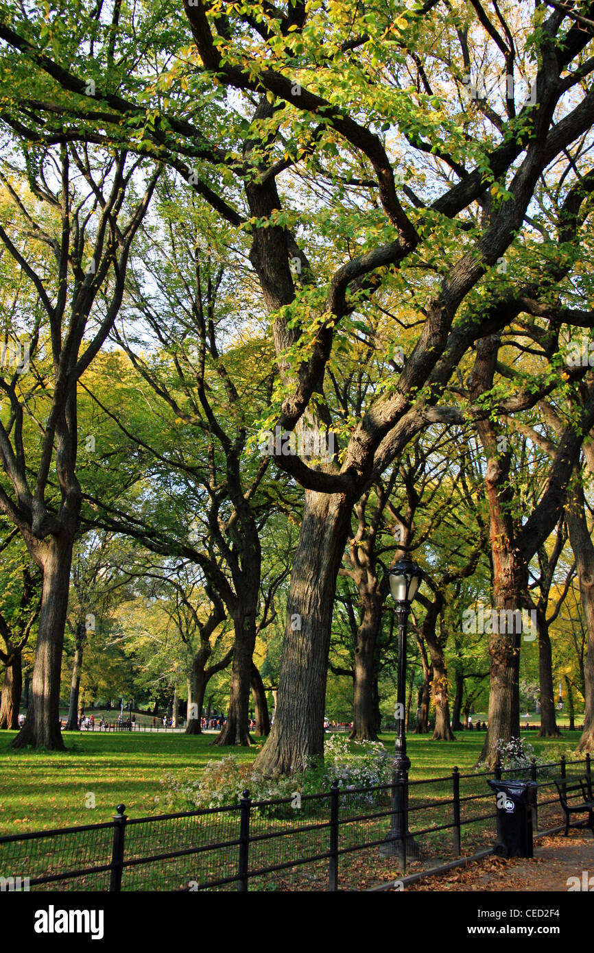 A evening shot of a park in autumn Stock Photo - Alamy