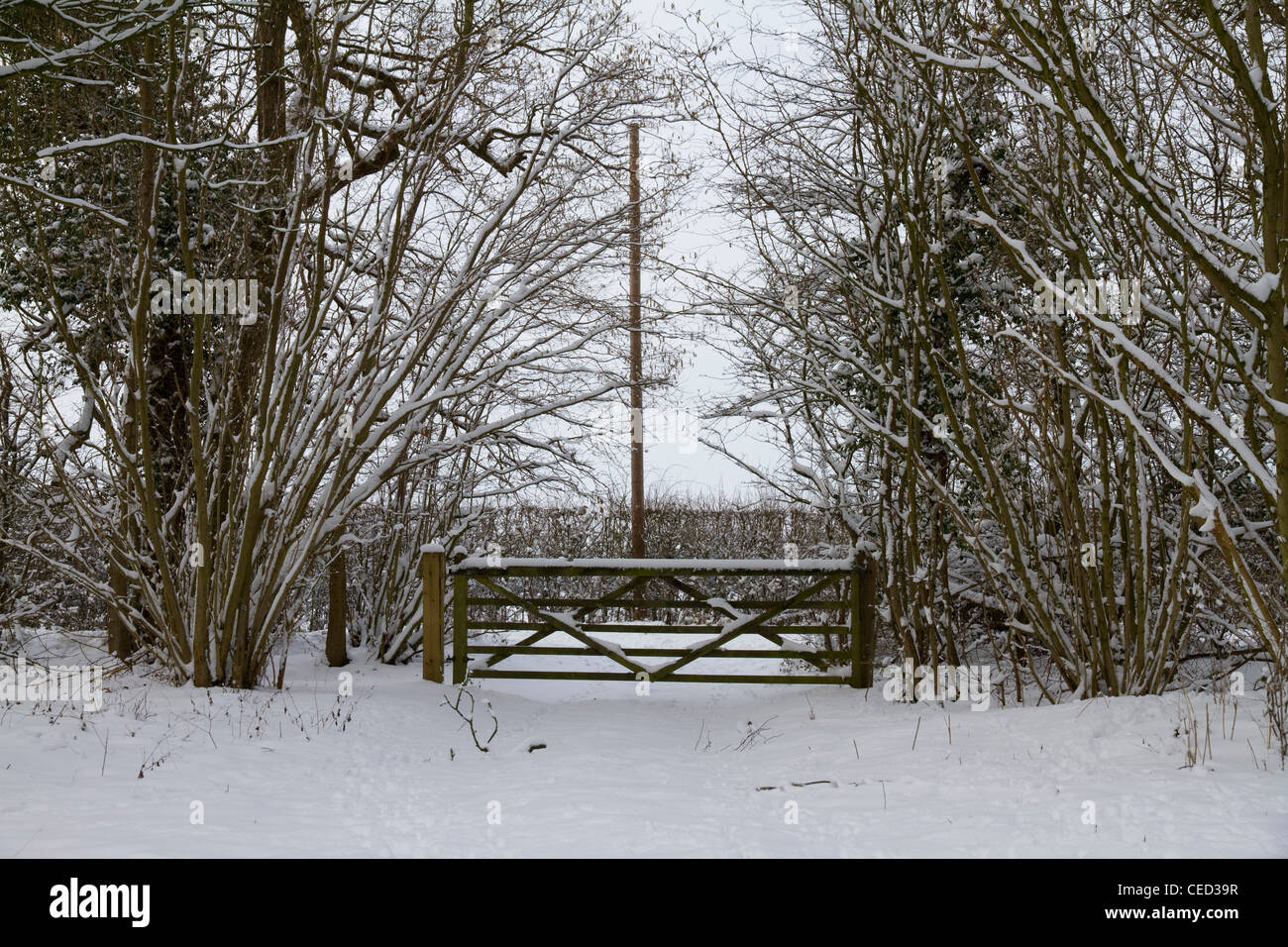 A gate in the snow leading from woodland Stock Photo - Alamy