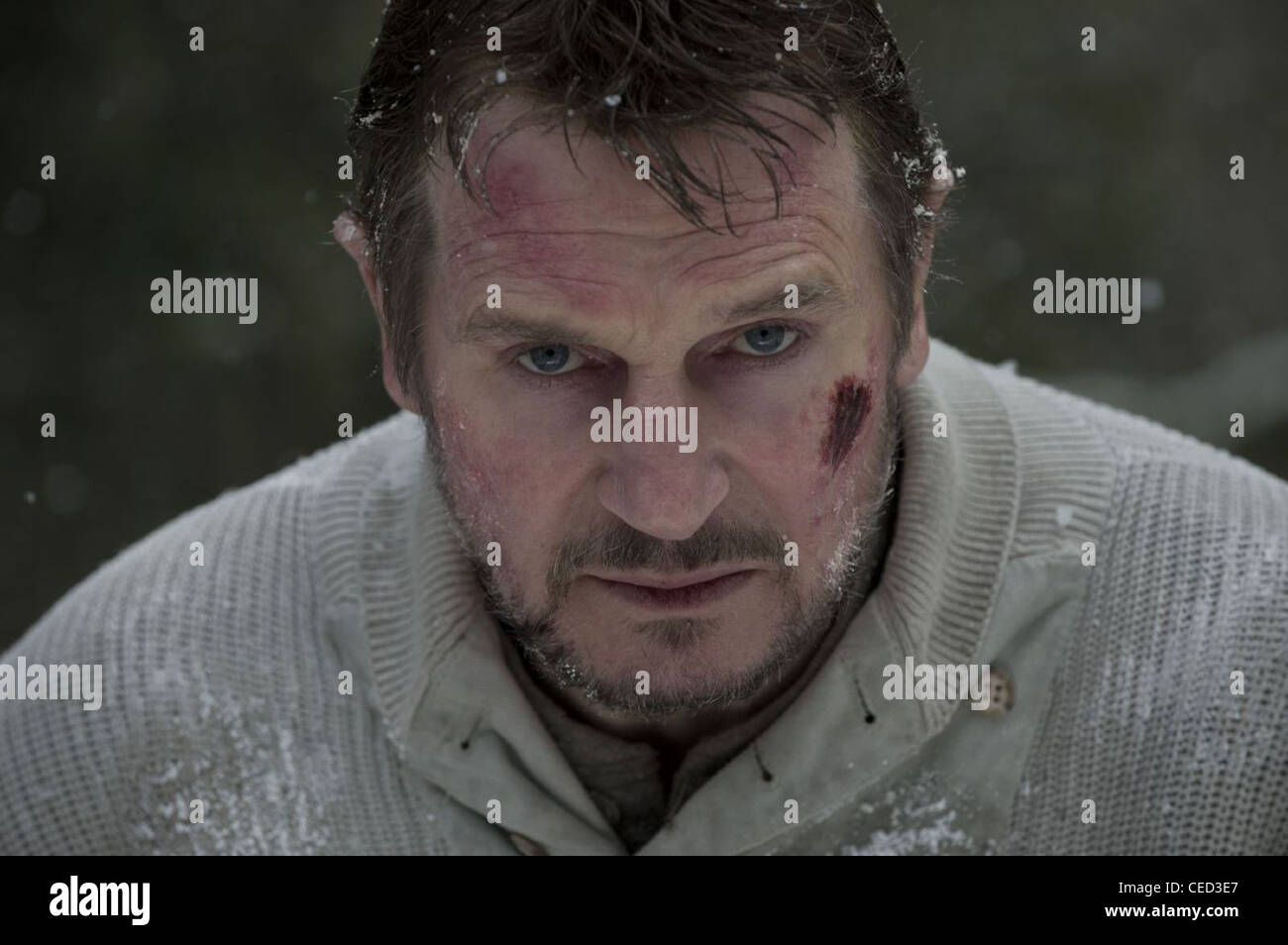 Joe carnahan dir liam neeson cold snow wound hi-res stock photography ...