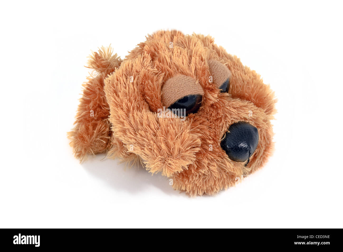 Puppy child Cut Out Stock Images & Pictures - Alamy