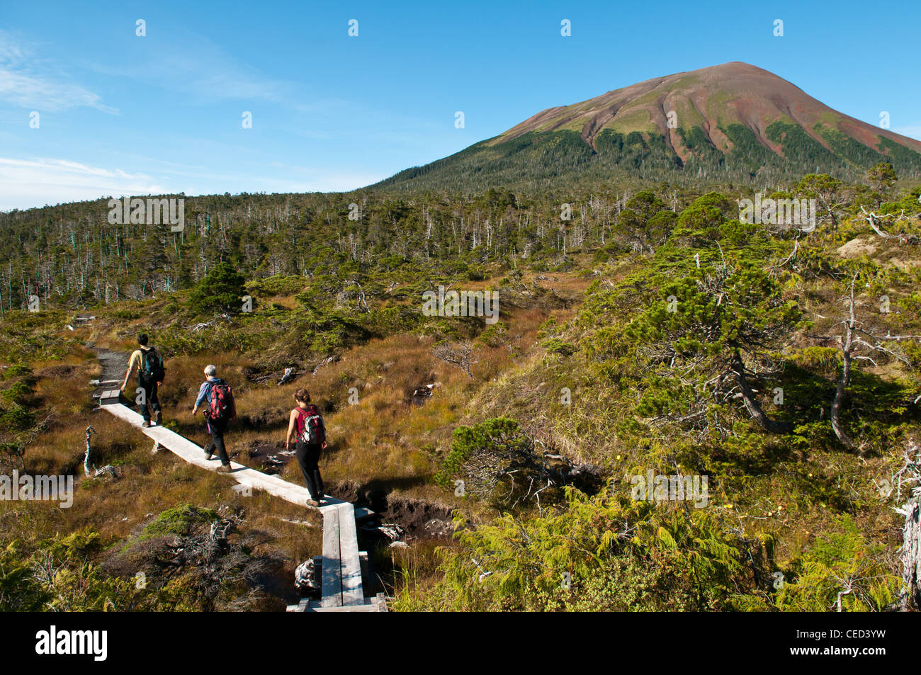Kruzof island hi-res stock photography and images - Alamy