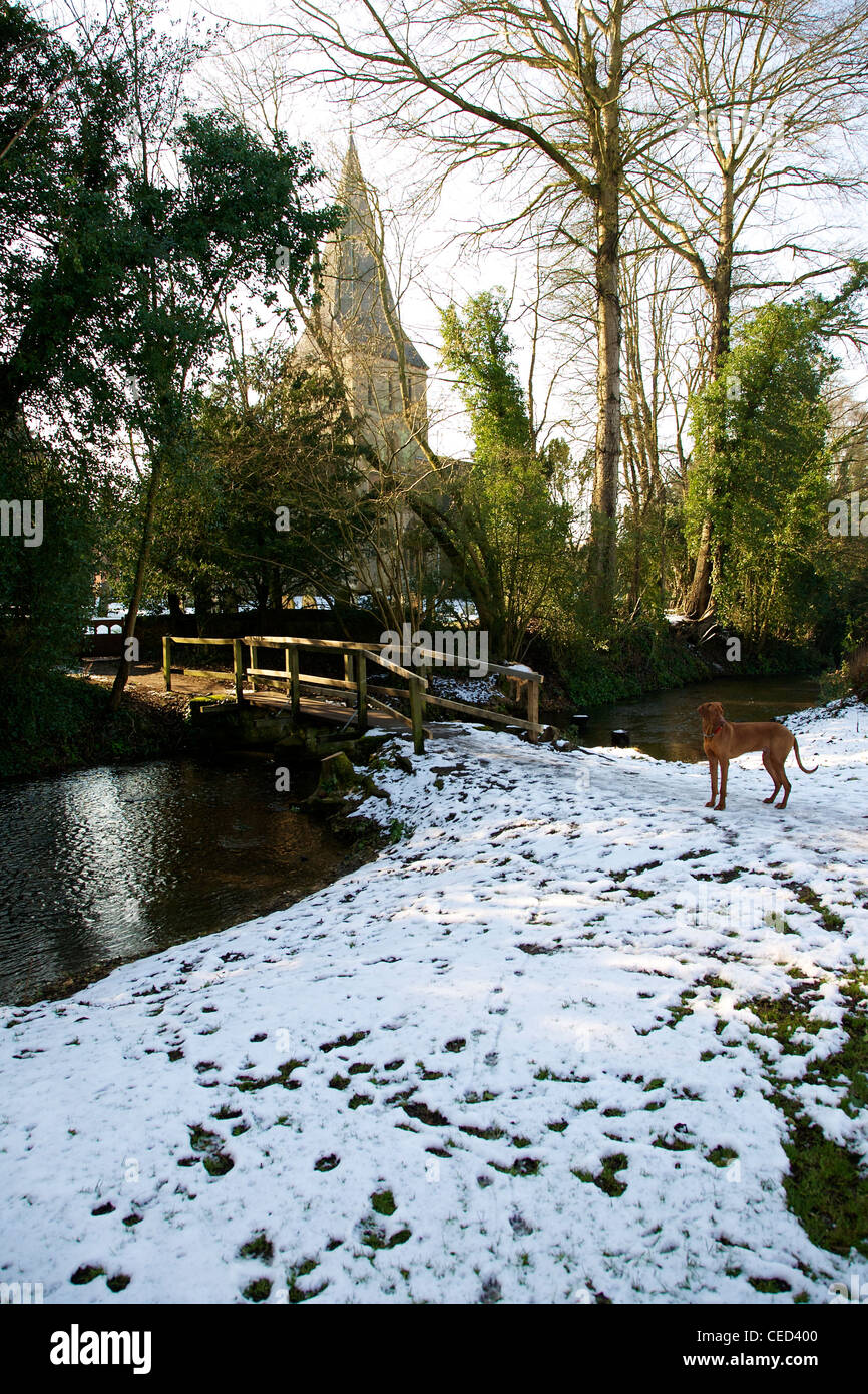 St James Church, Shere, Surrey on the banks of the River Tillingbourne ...