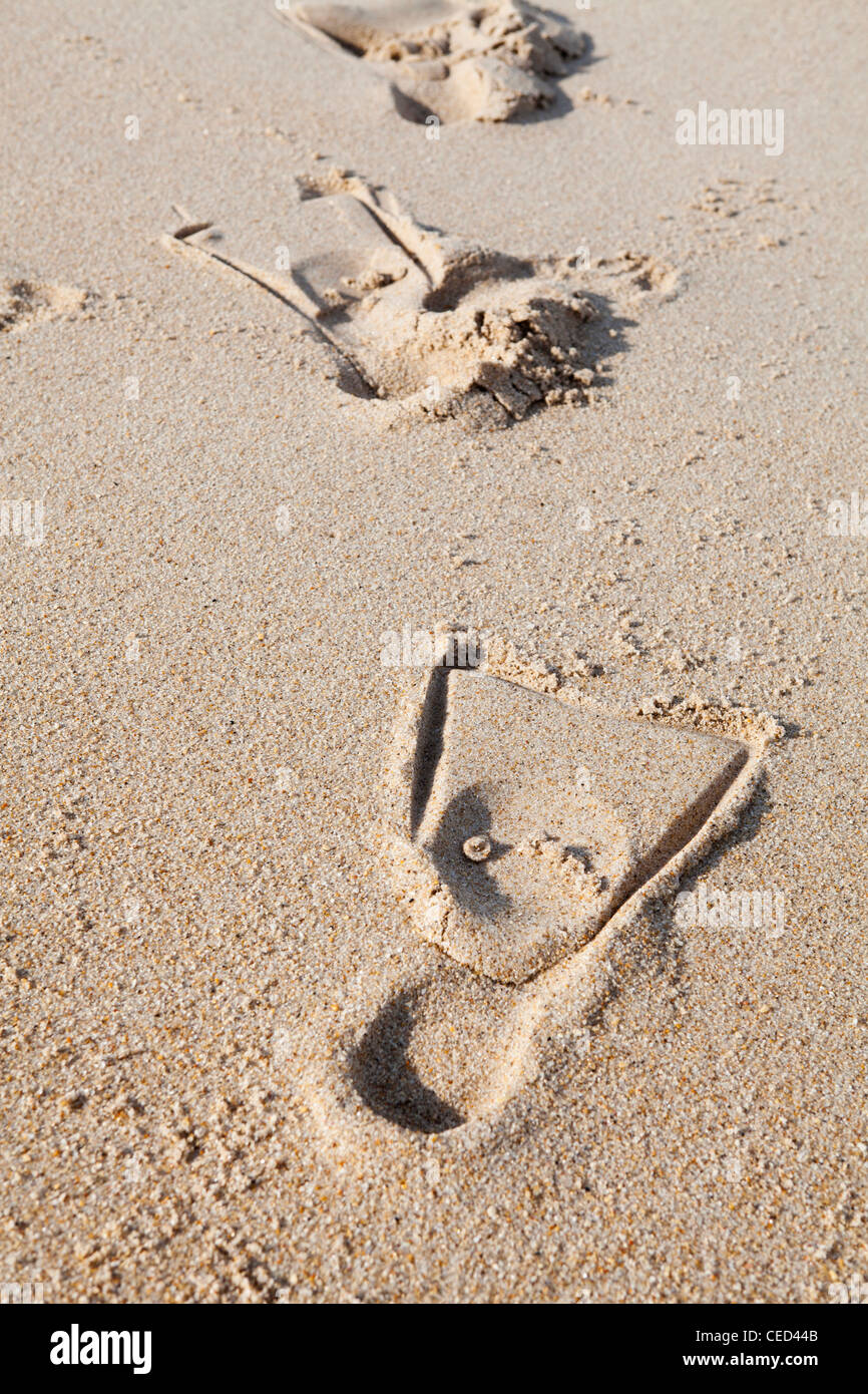Close-up of footprints with fins on sand Stock Photo - Alamy