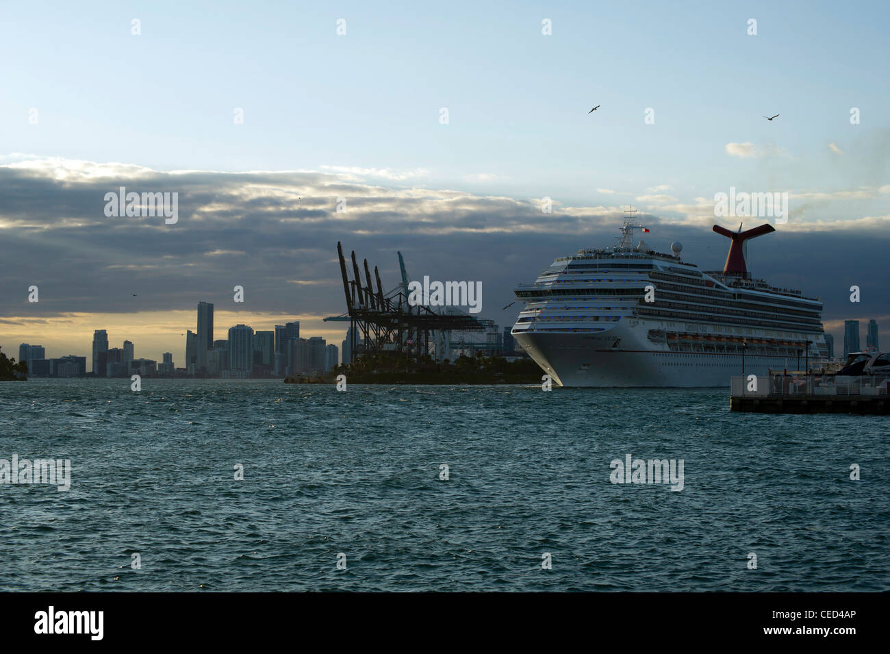 Miami Port Cruise High Resolution Stock Photography and Images - Alamy