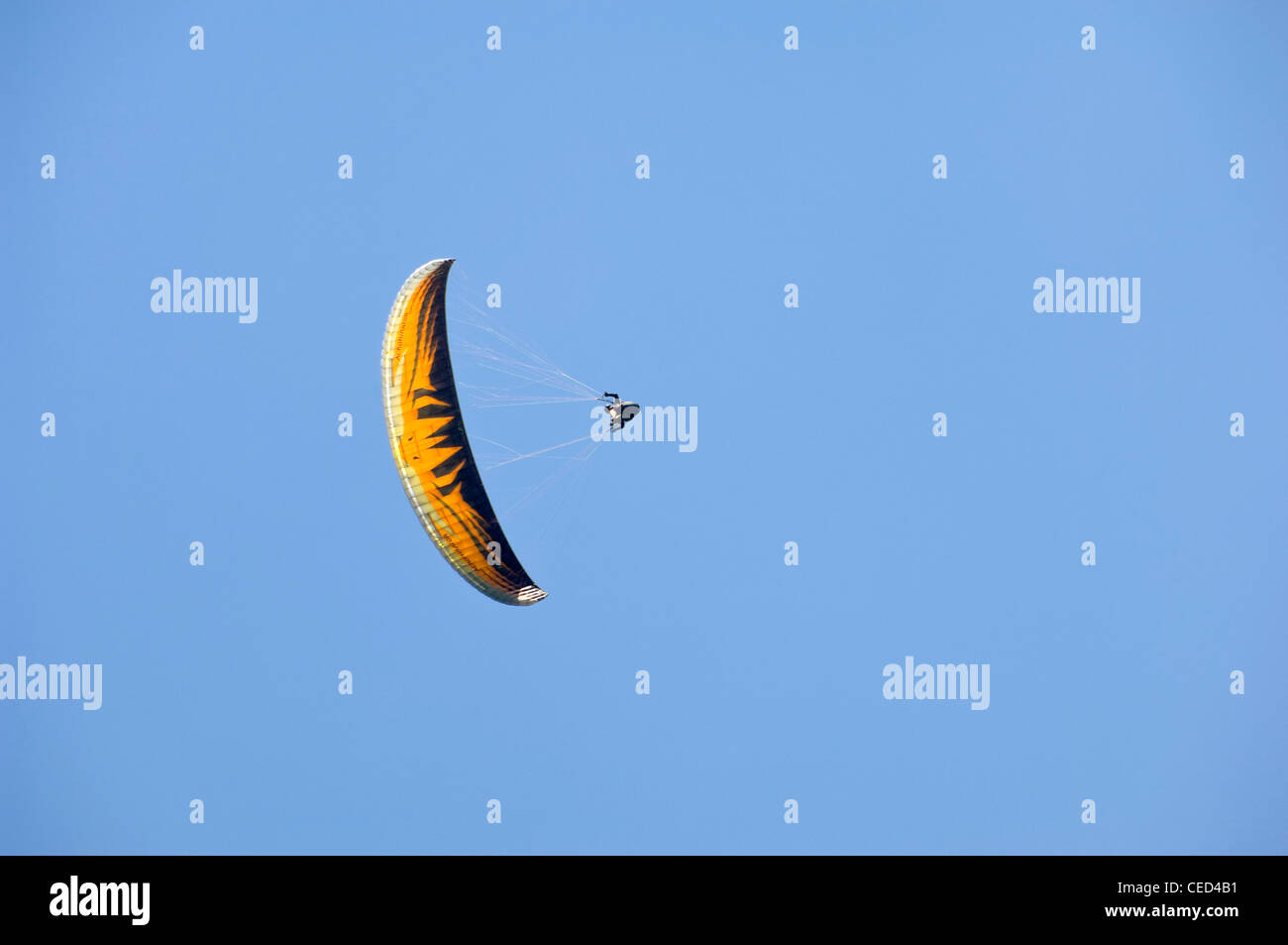Canopy paraglider above hi-res stock photography and images - Alamy