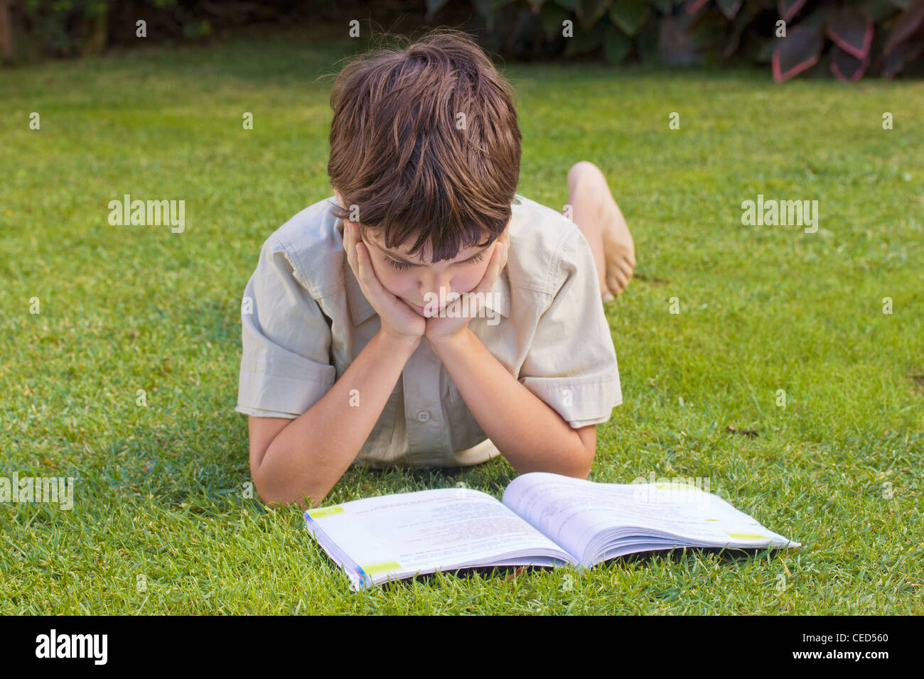 boy reading book on green grass lawn Stock Photo - Alamy