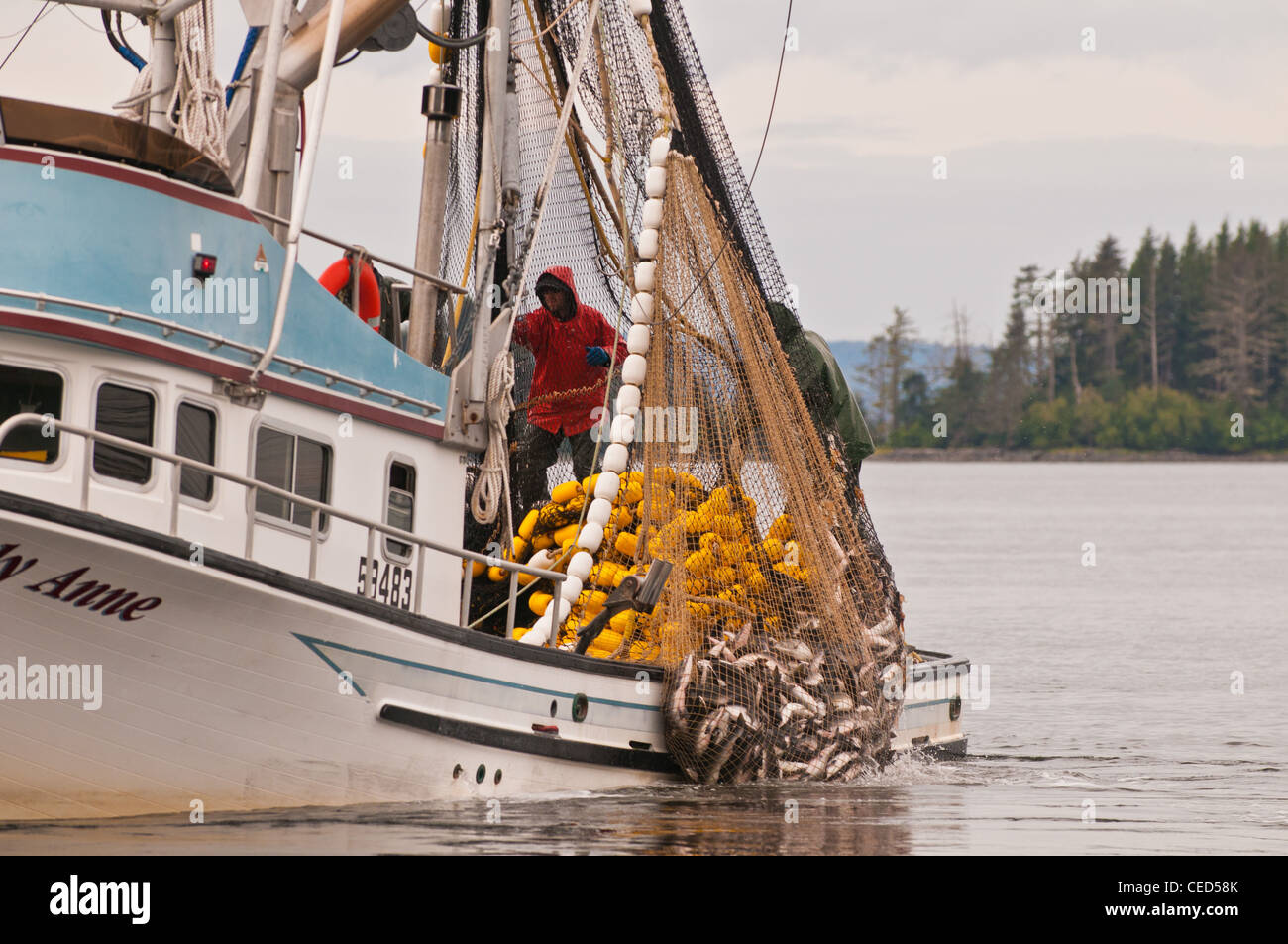 Salmon Purse Seine fishing, Sitka, Alaska Stock Photo - Alamy