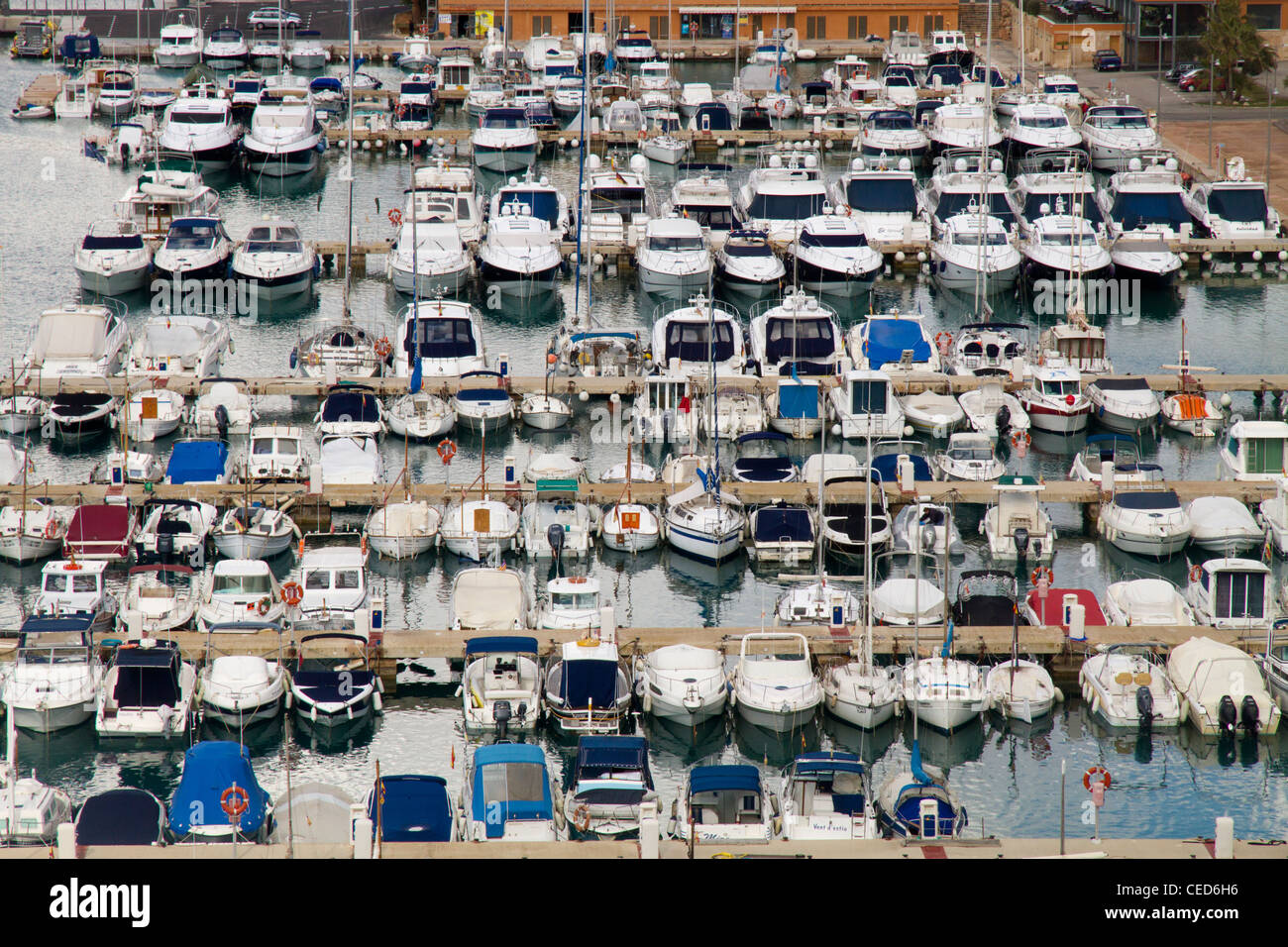 Motor boats moored in Puerto Adriano harbor port touristic Majorca ...