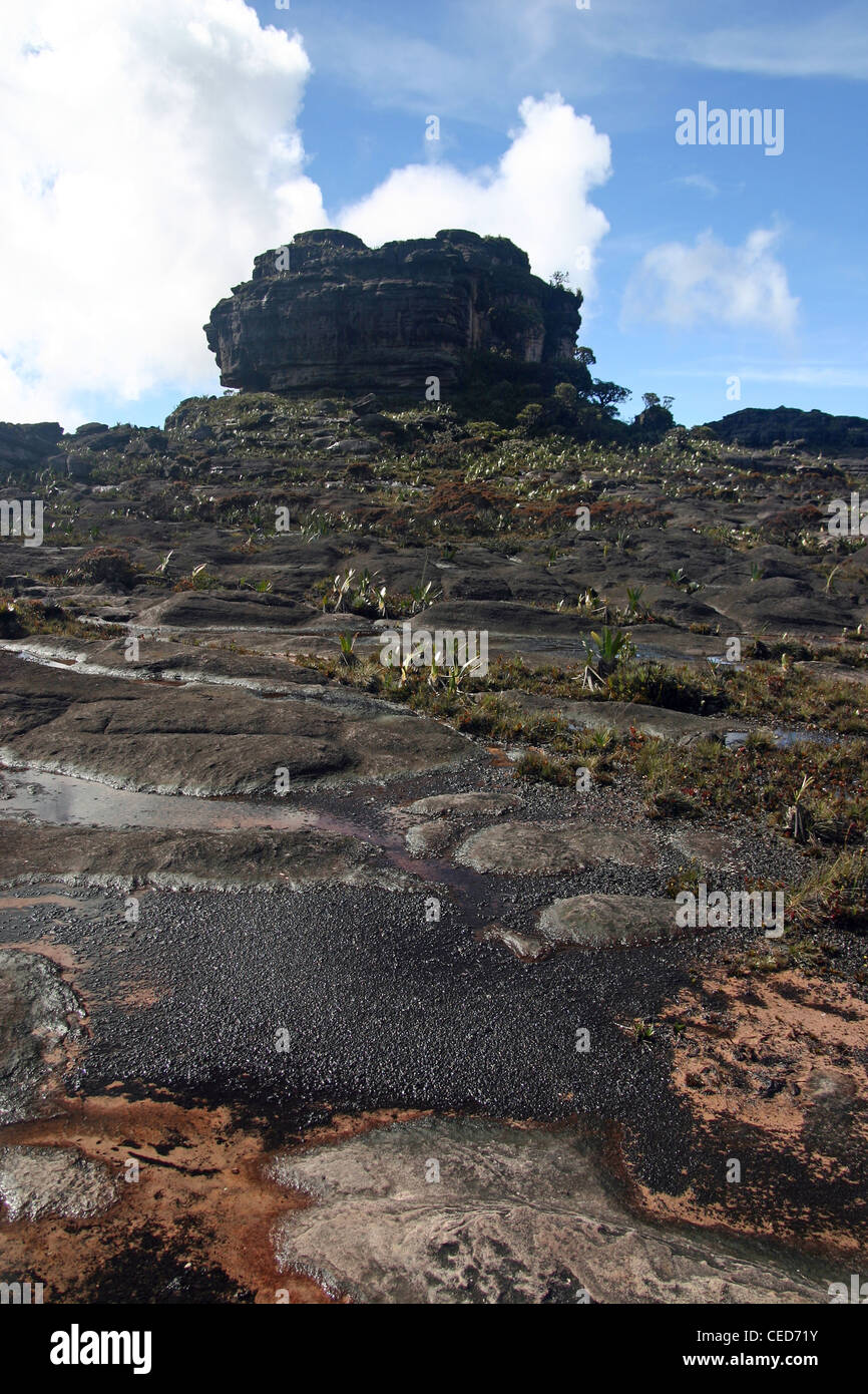 The weird landscape near the summit (El Carro) of Mount Roraima (Tepui ...