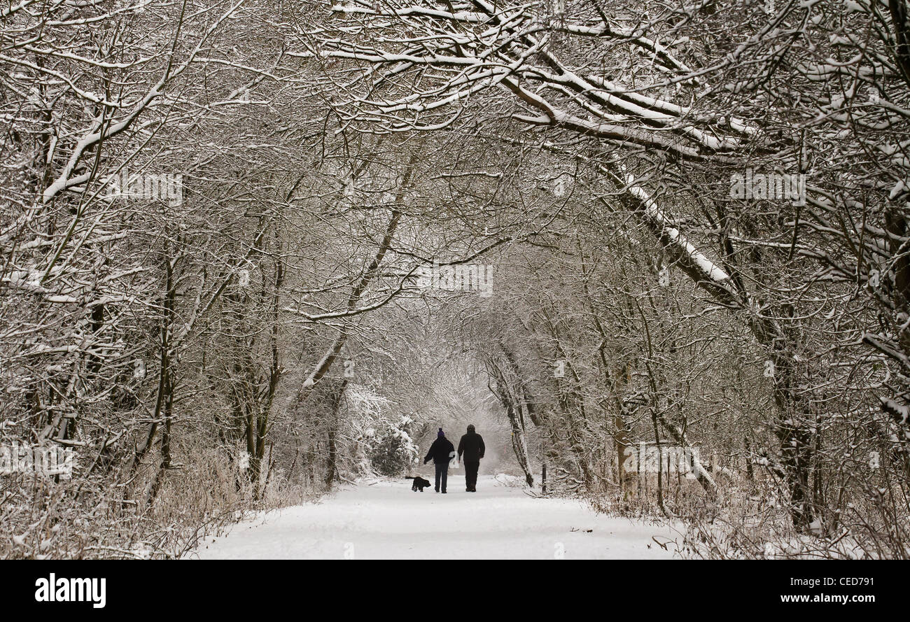 Woman walking on snowed footpath hi-res stock photography and images ...