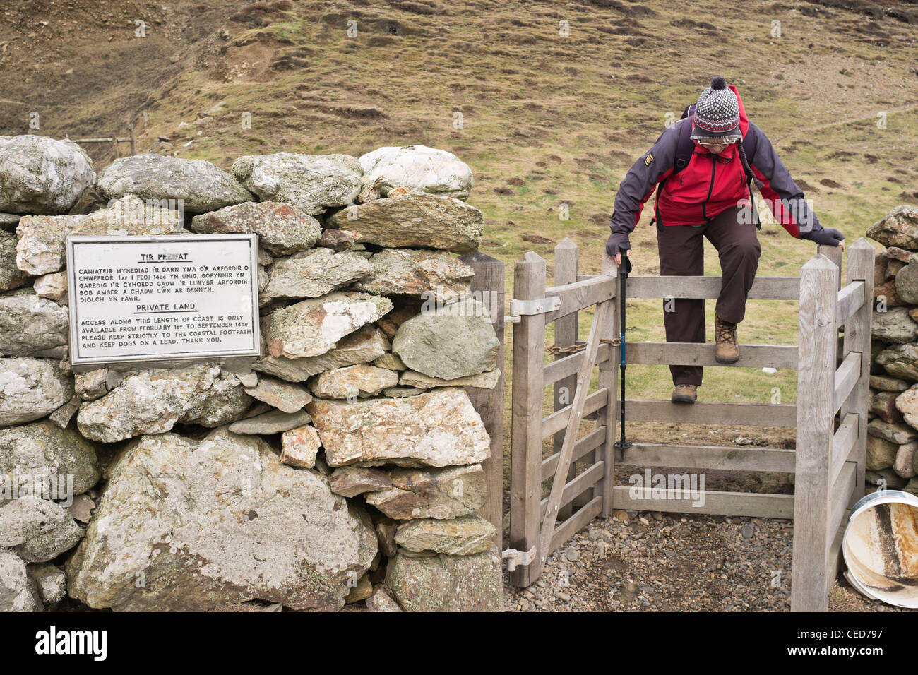 Walker having to climb over a locked kissing gate on the coastal path ...