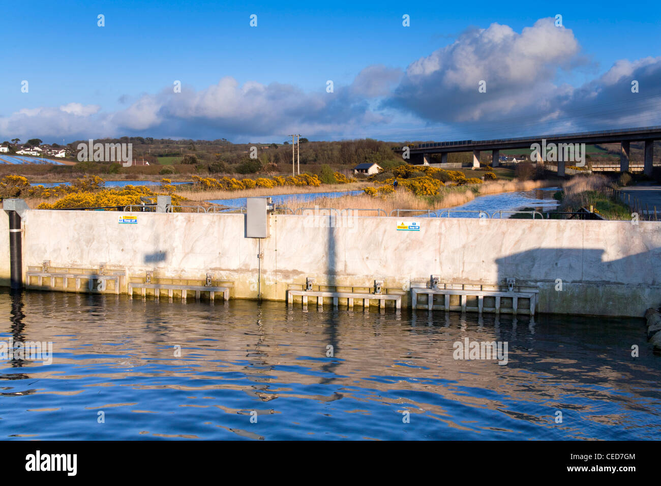 Hayle river and rspb reserve hi-res stock photography and images - Alamy