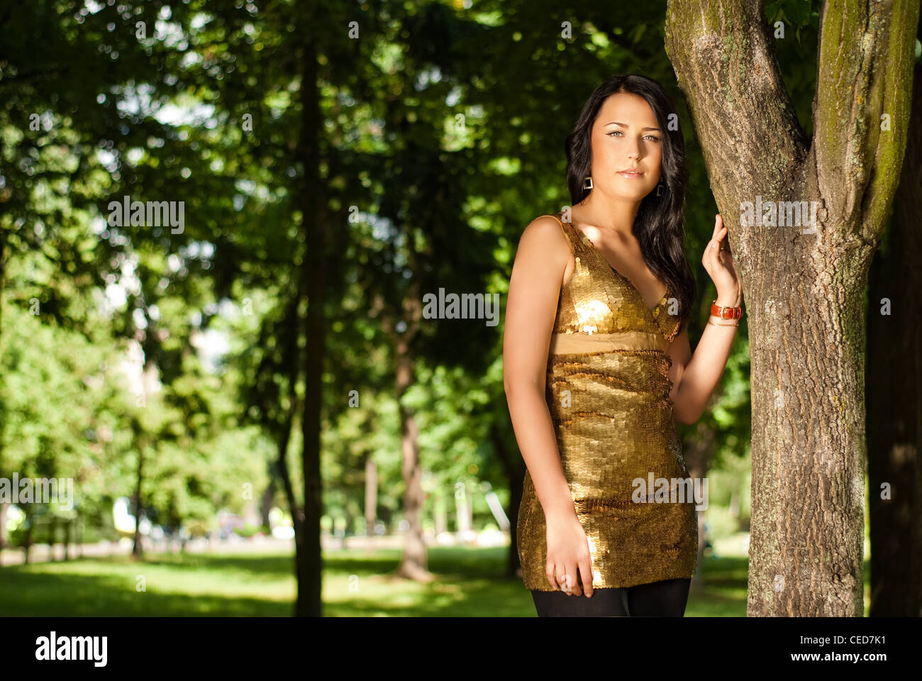 Beautiful model in shiny dress Stock Photo - Alamy