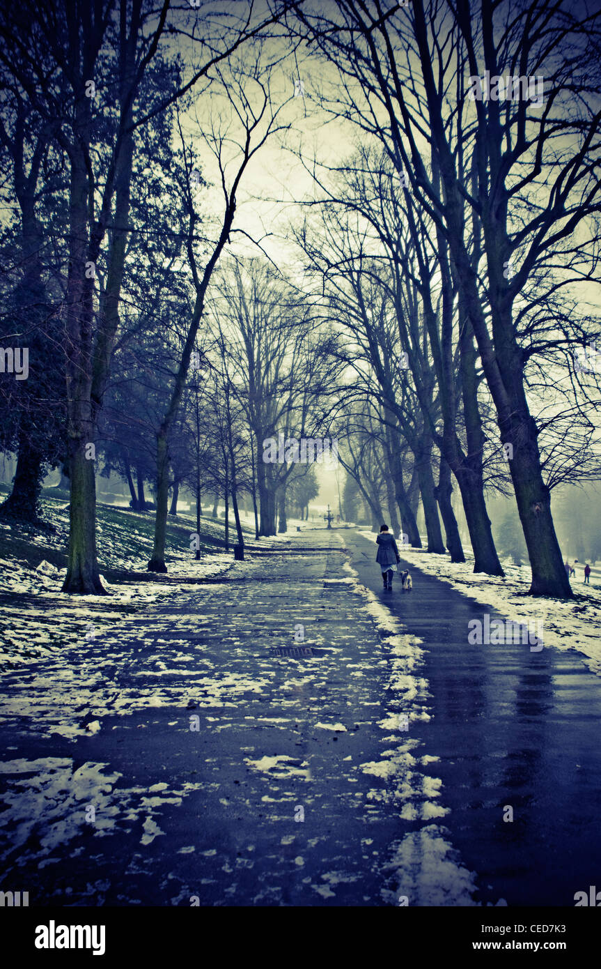 A Walk through the park, UK Stock Photo - Alamy