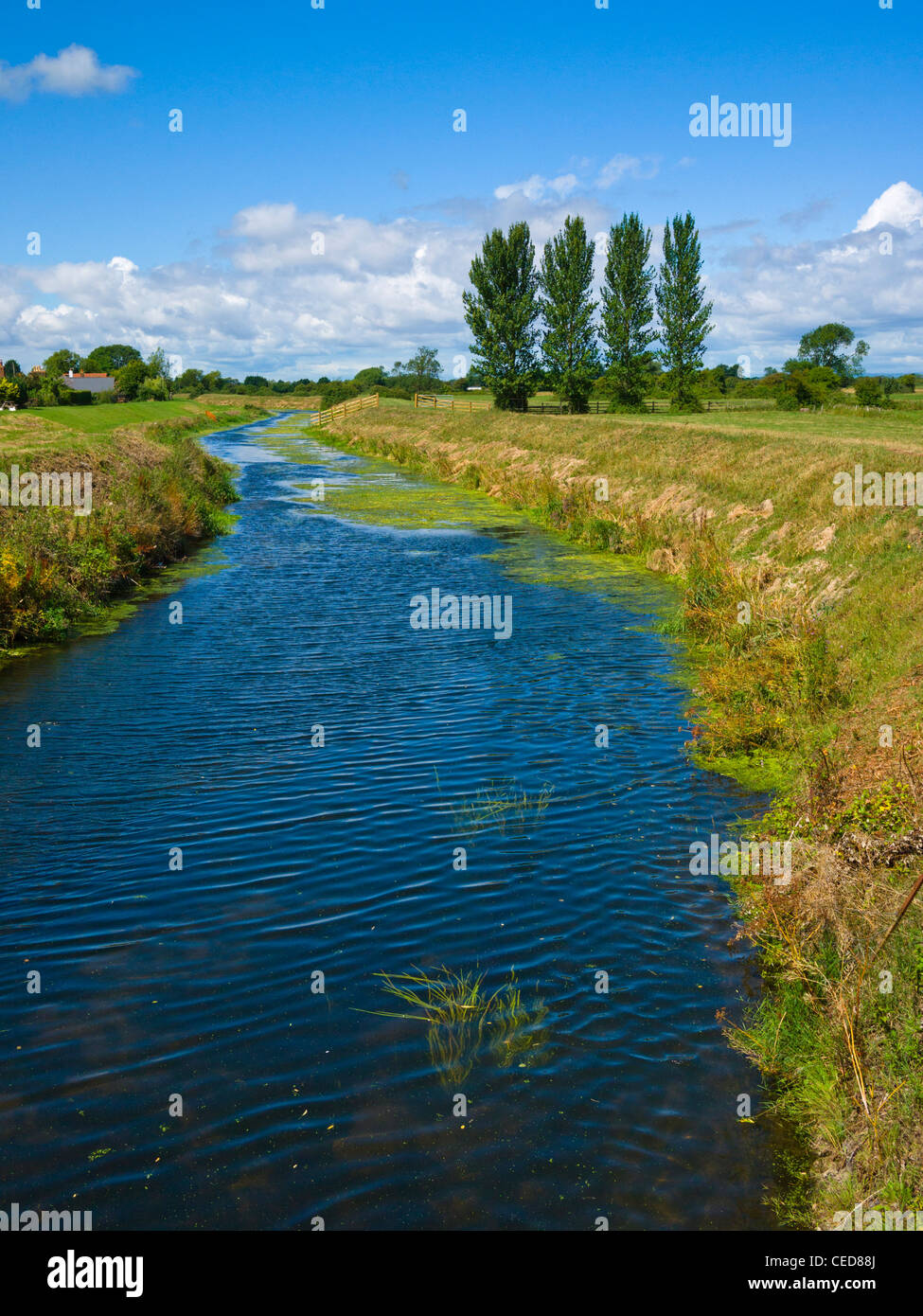 The River Yeo at Congresbury, North Somerset, England Stock Photo - Alamy